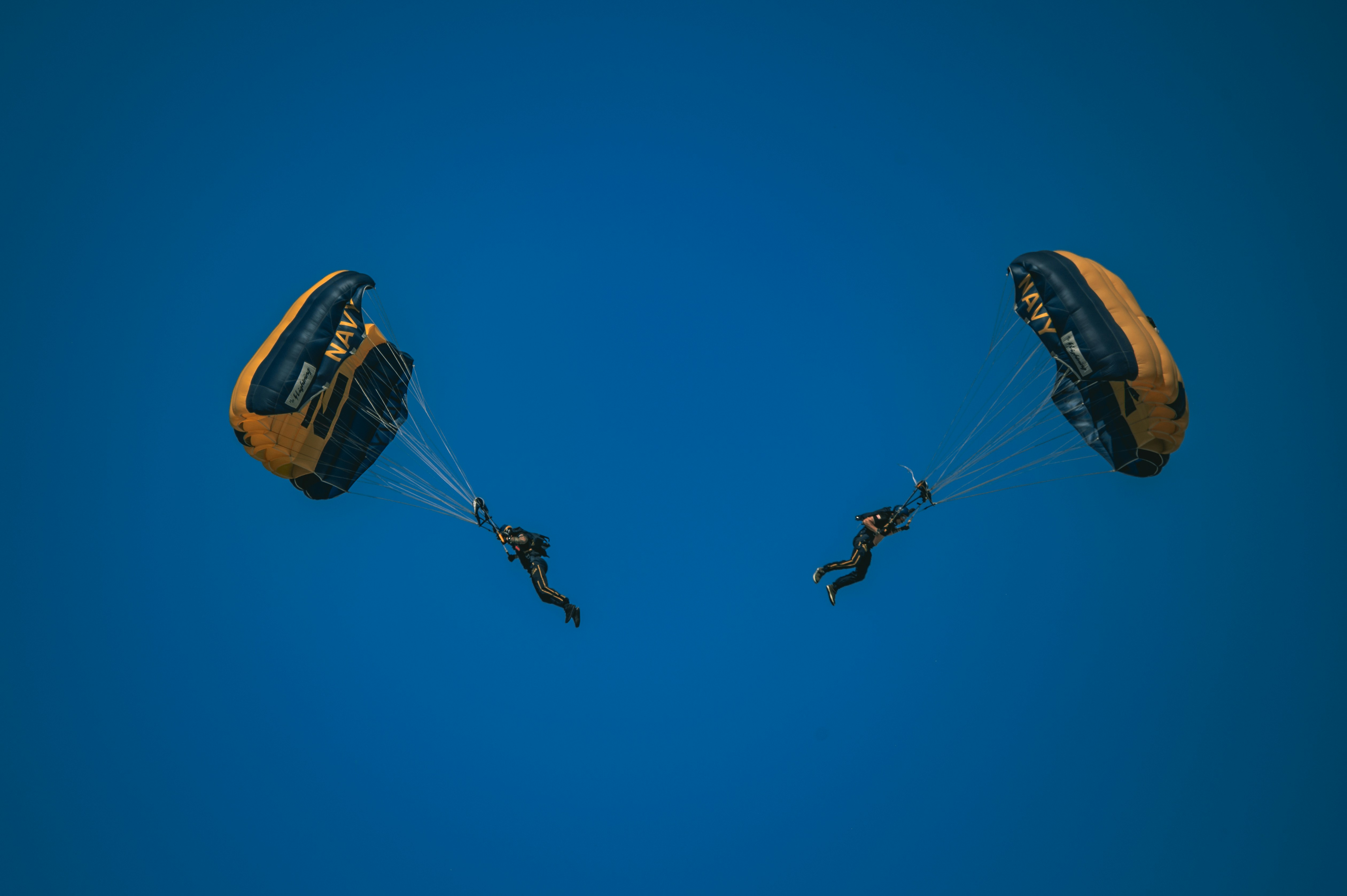 A pair of parachutes flying through a blue sky photo – Free Human Image ...