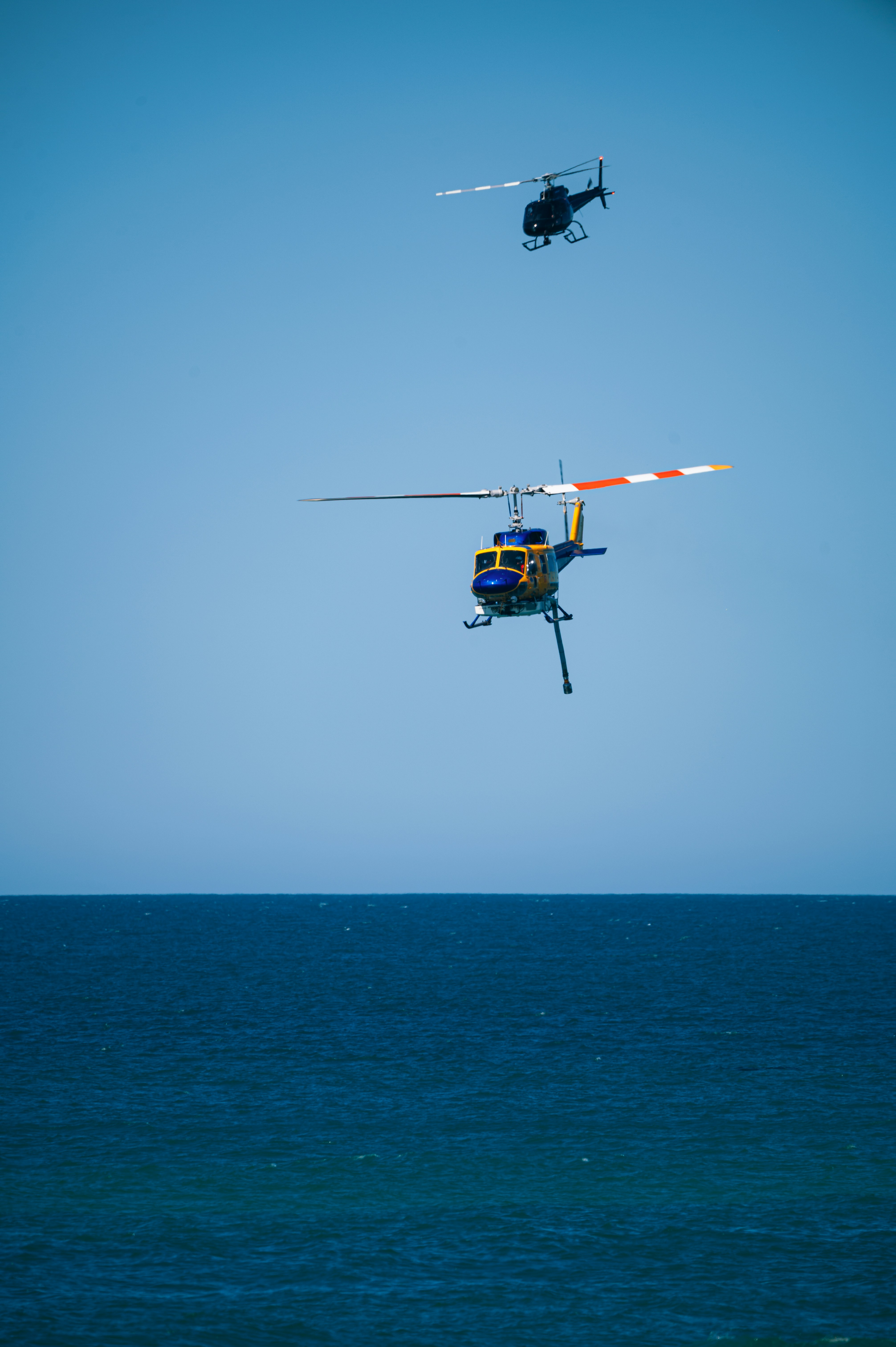 A helicopter flying over a body of water photo – Free Animal Image on ...