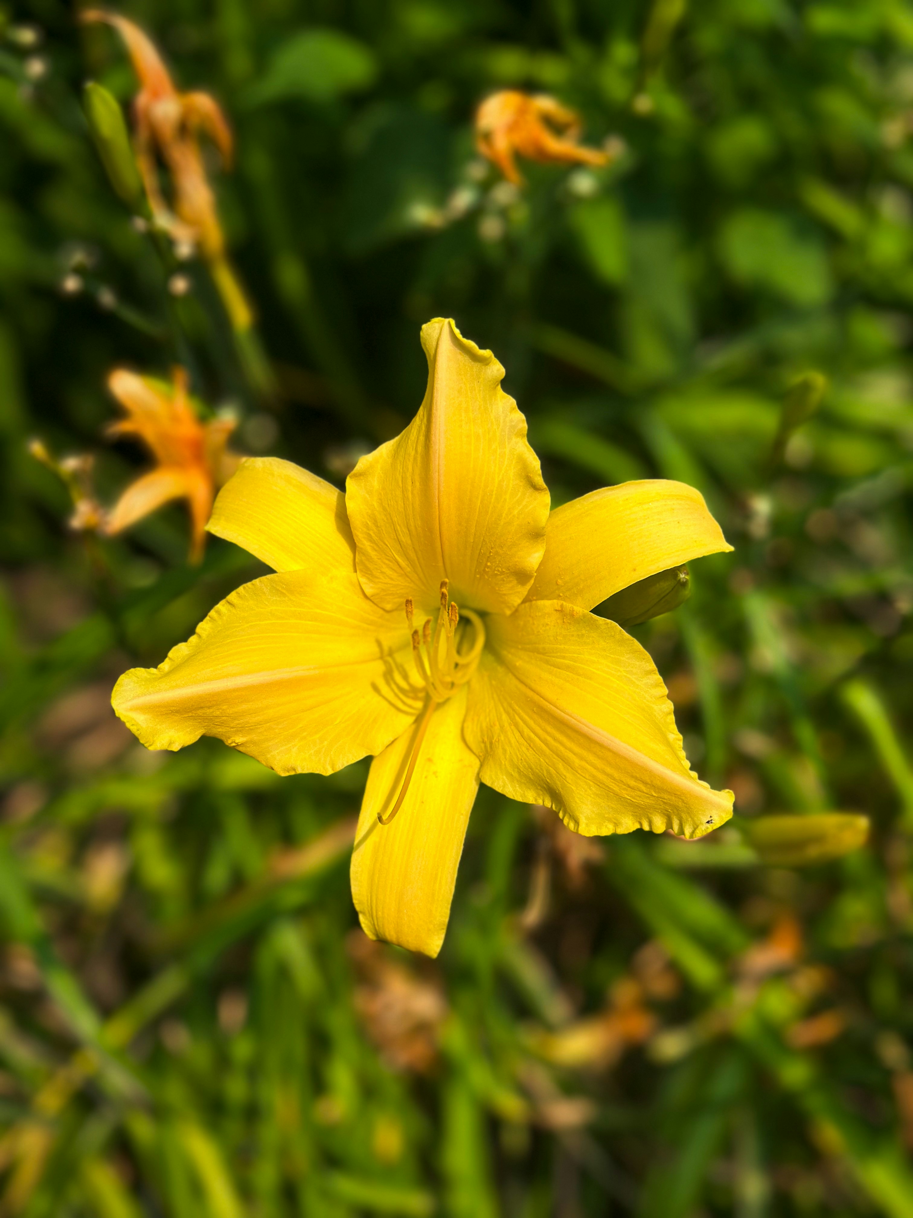 Dillon Finlay (@cntrlcommand) | Unsplash 사진 커뮤니티