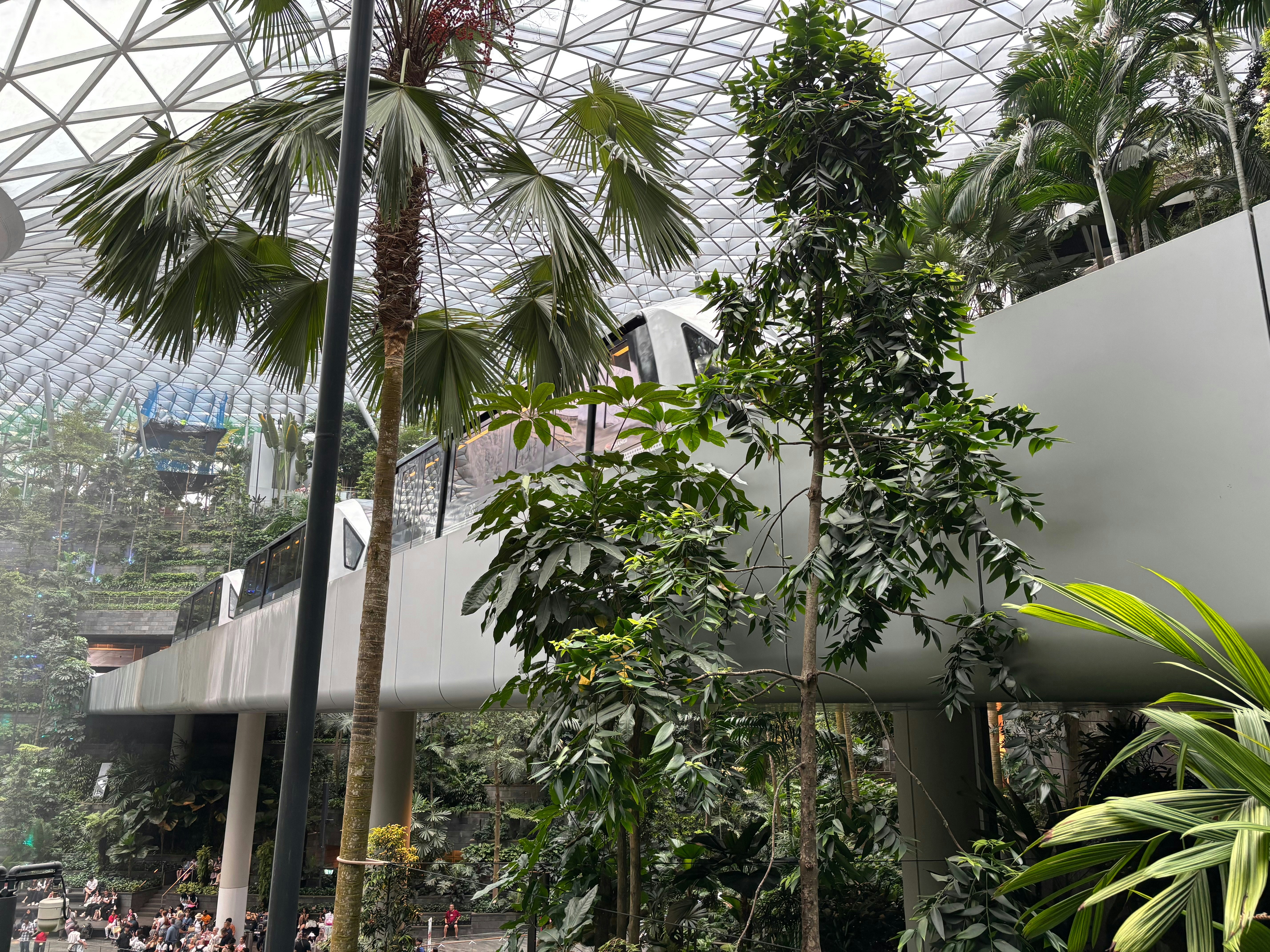 A group of people walking around a building photo – Free Garden Image ...