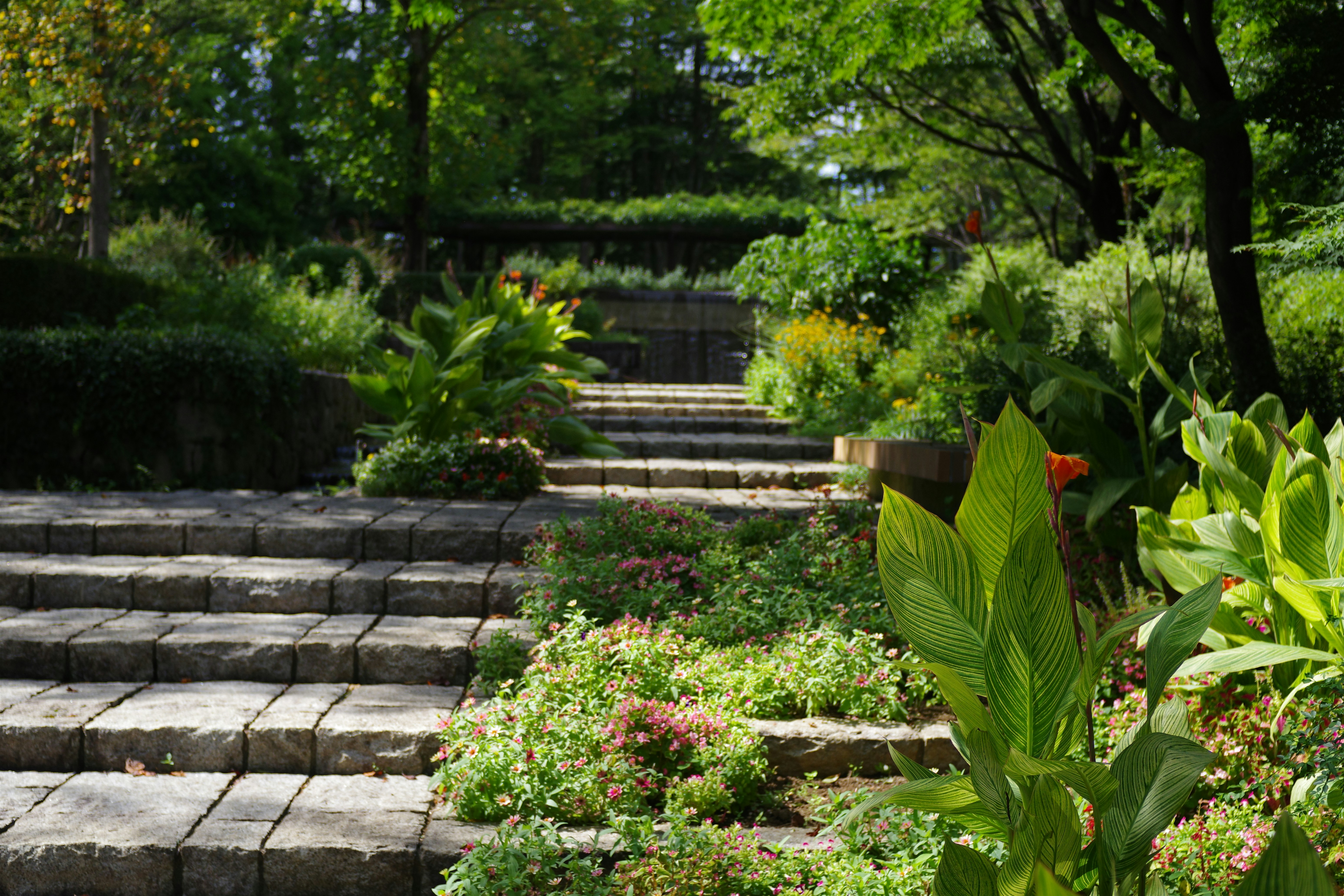 A bunch of steps that are in a garden photo – Free Flower Image on Unsplash