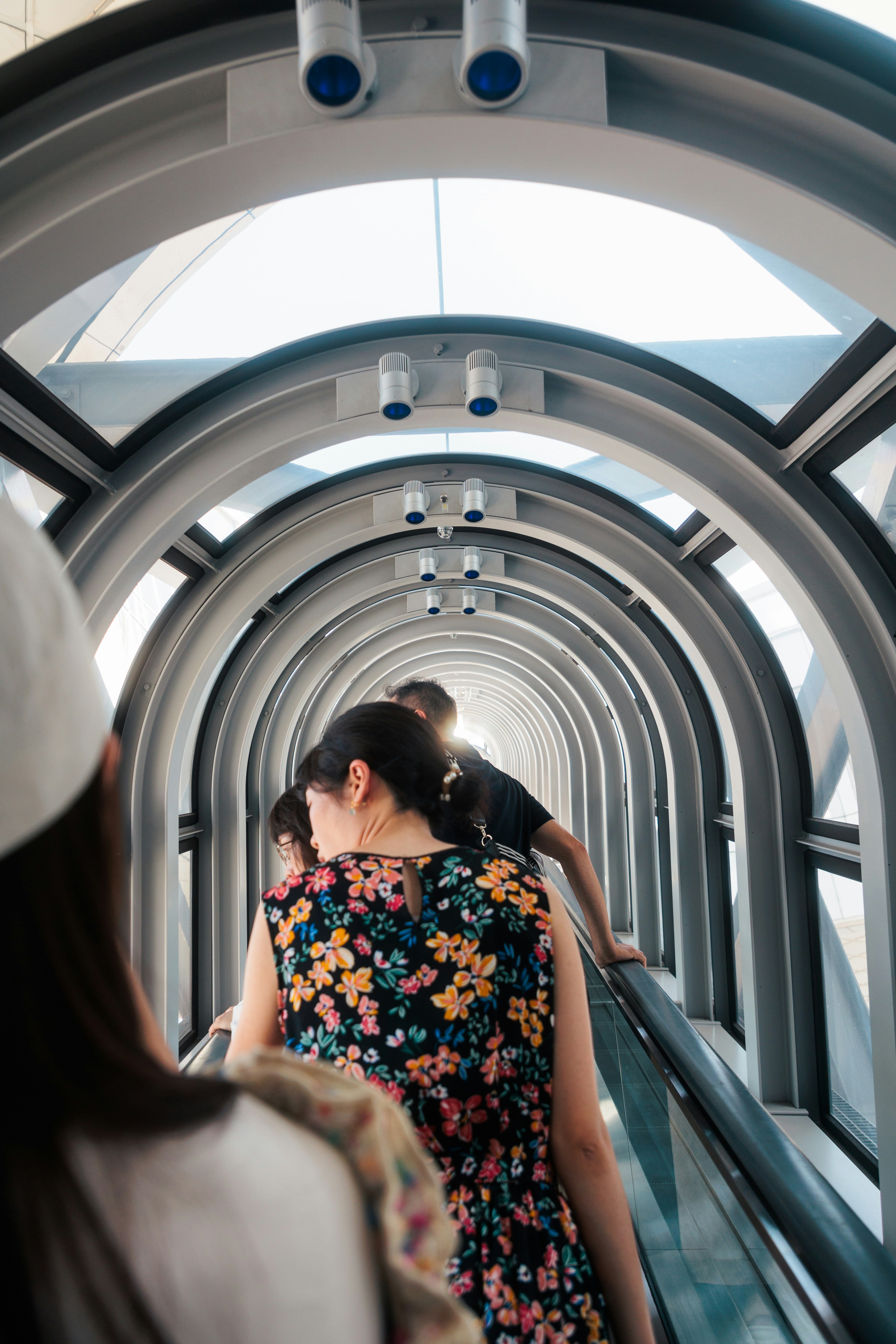 Through the Ring of Passages: A Colorful Moment in the Glass Tunnel