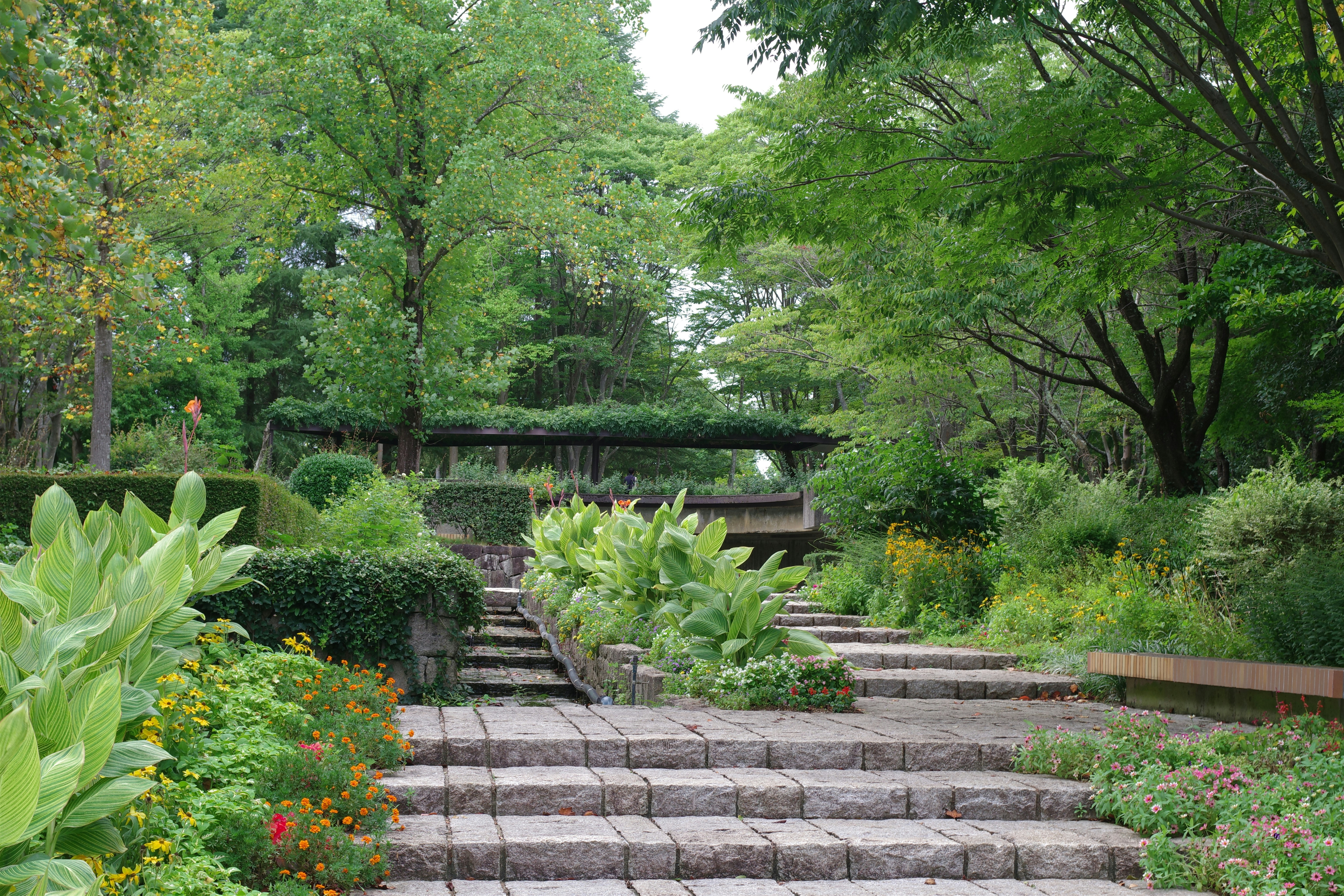 A bunch of steps that are in a garden photo – Free Forest Image on Unsplash