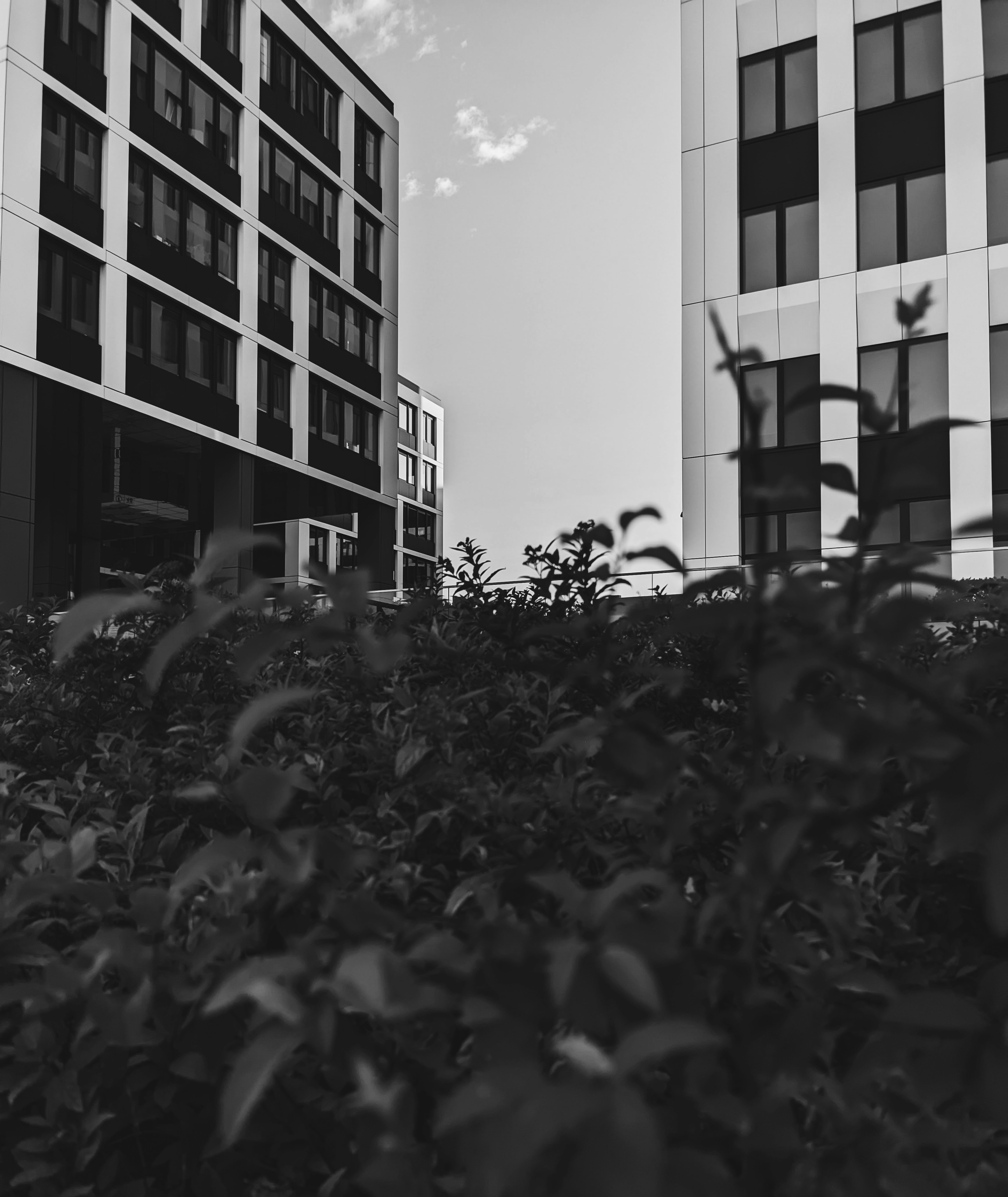 Photo by positive tourettes with Moto G9 Plus