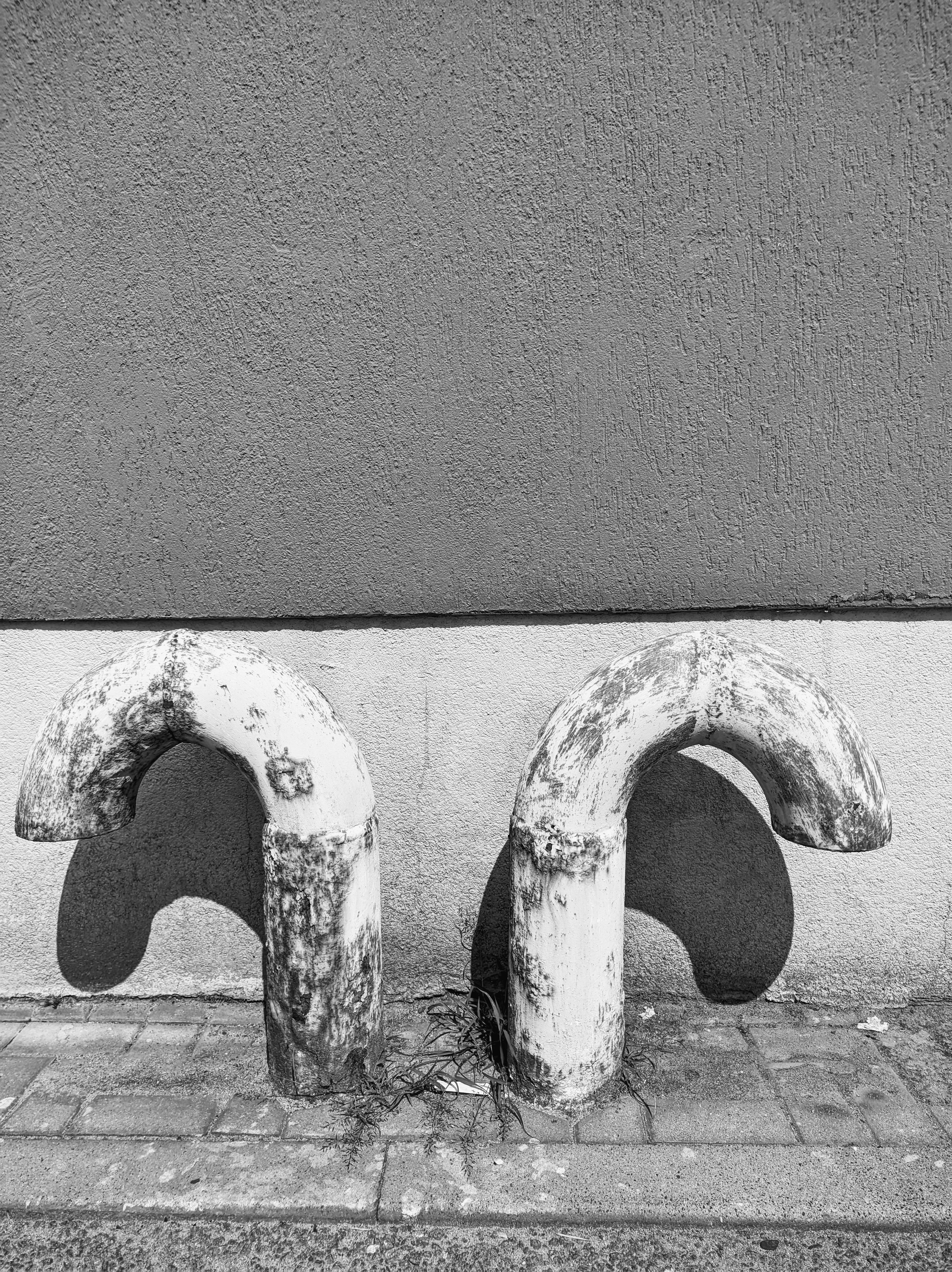 Black-and-white photograph of weathered curved pipes rising from the pavement against a textured wall.