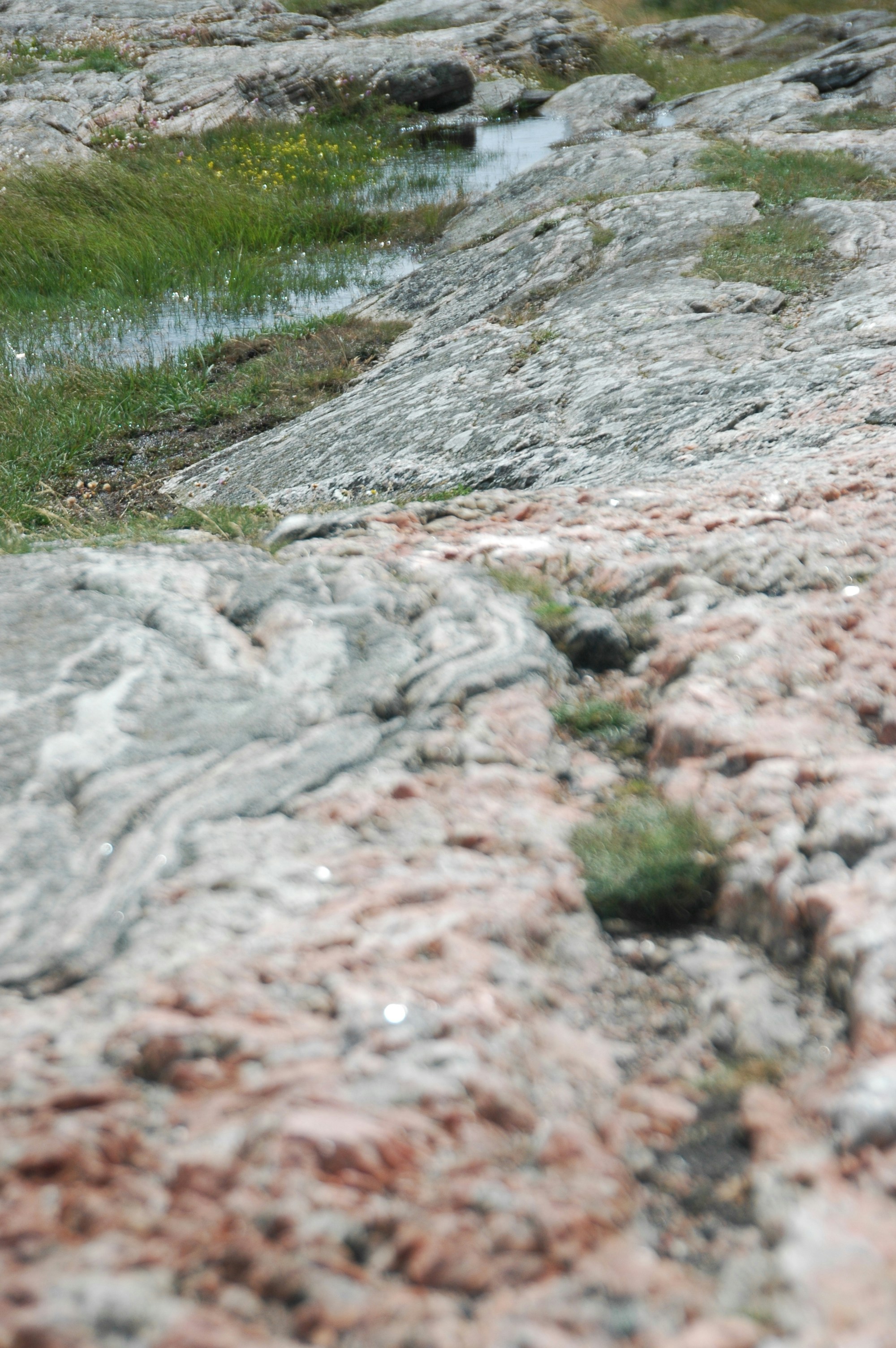 Pink Granite Ripples and a Hidden Creek