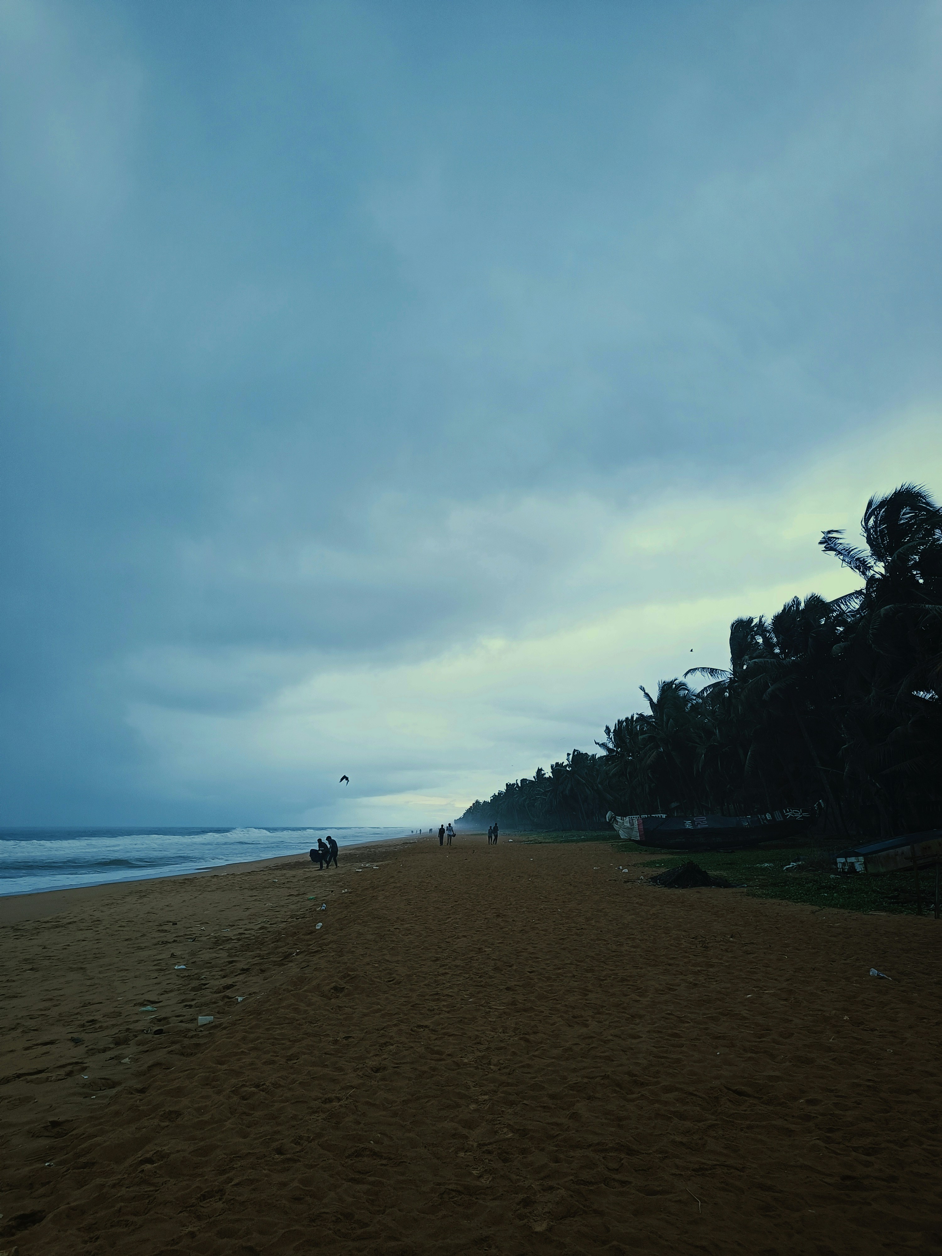 Photo by Nandu Vasudevan with Realme Narzo 50 Pro