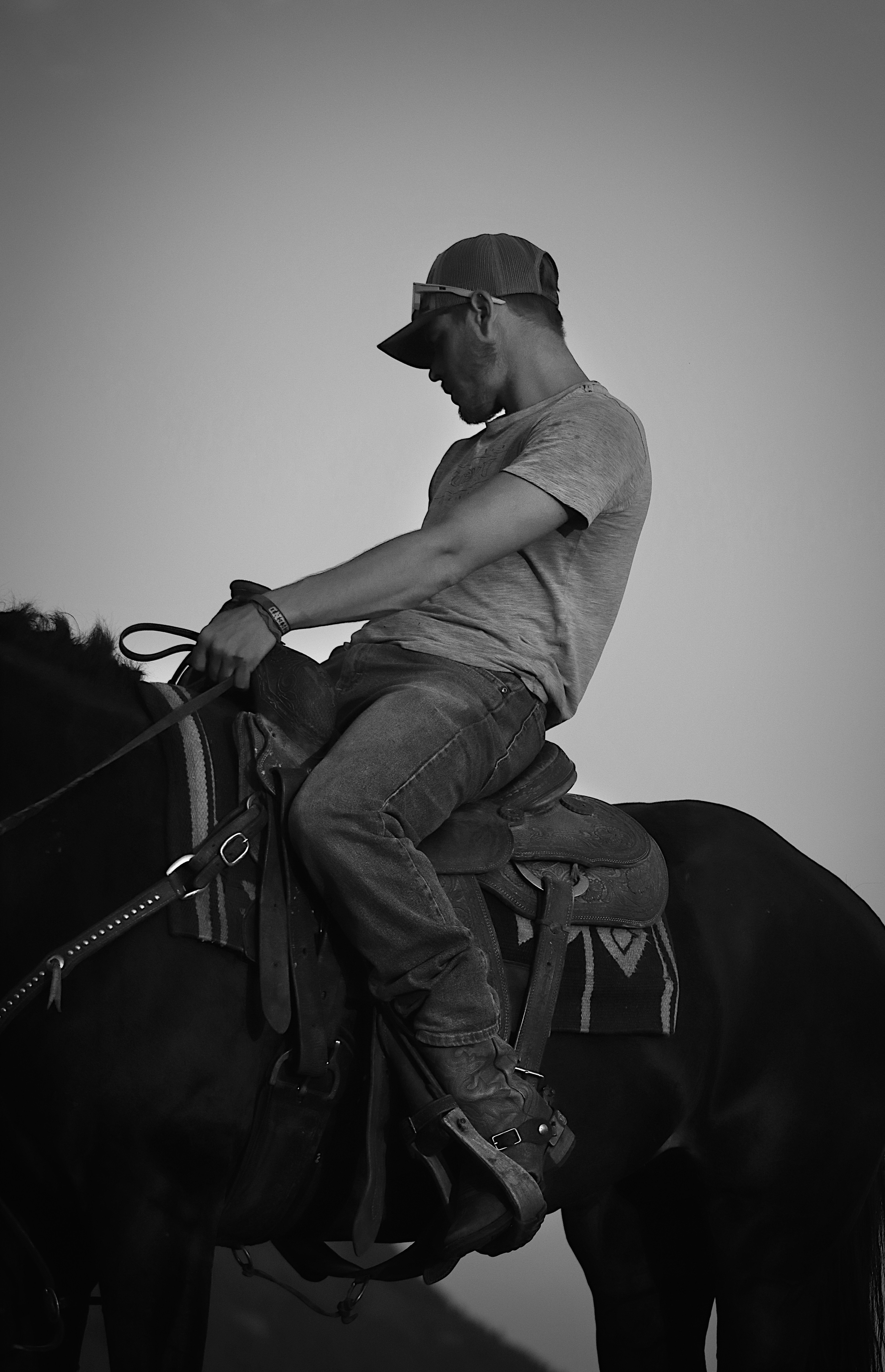 Profile Against Light: A Quiet Rider on a Dark Horse