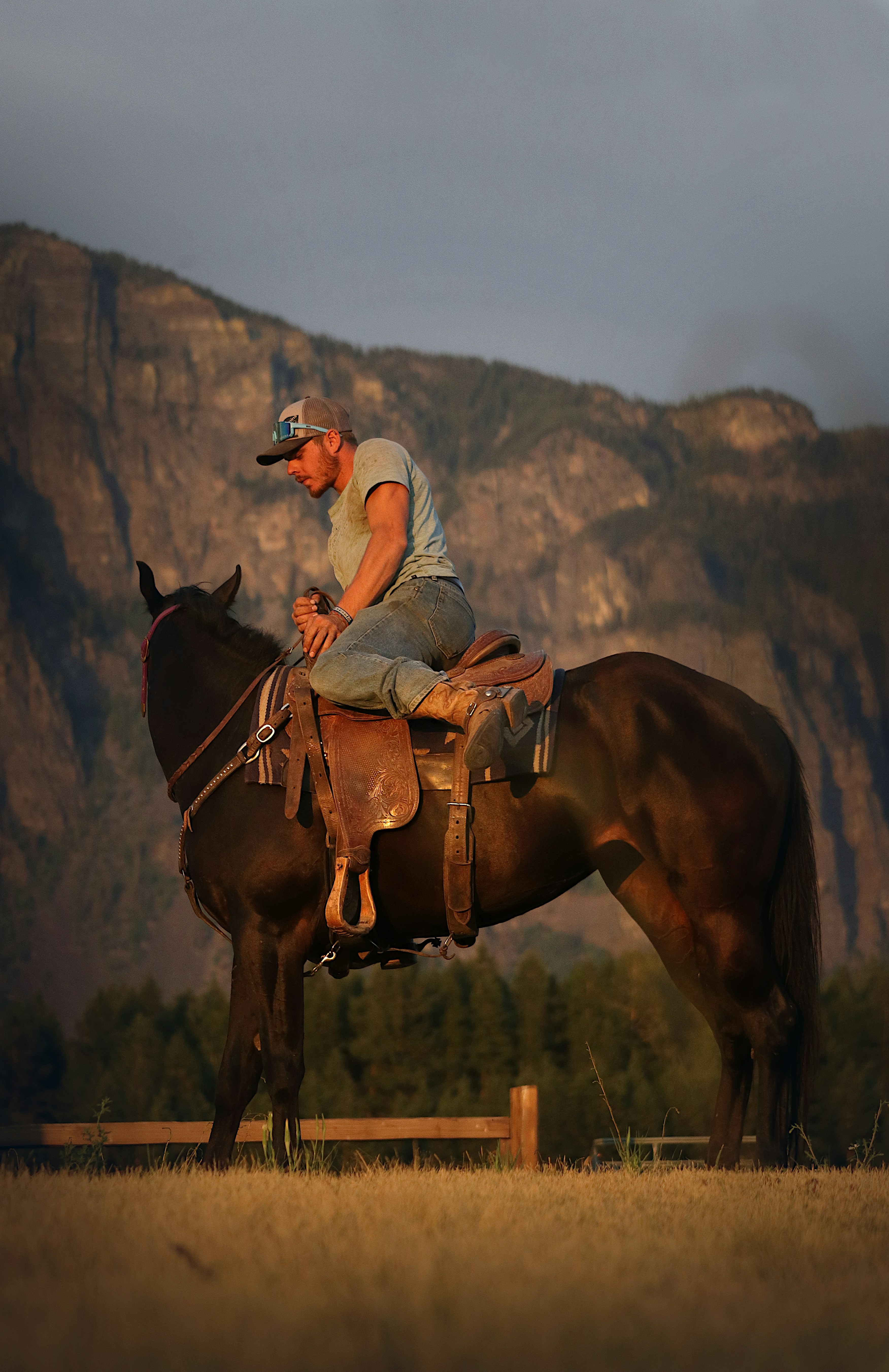 A man riding on the back of a brown horse photo – Free Creston Image on ...