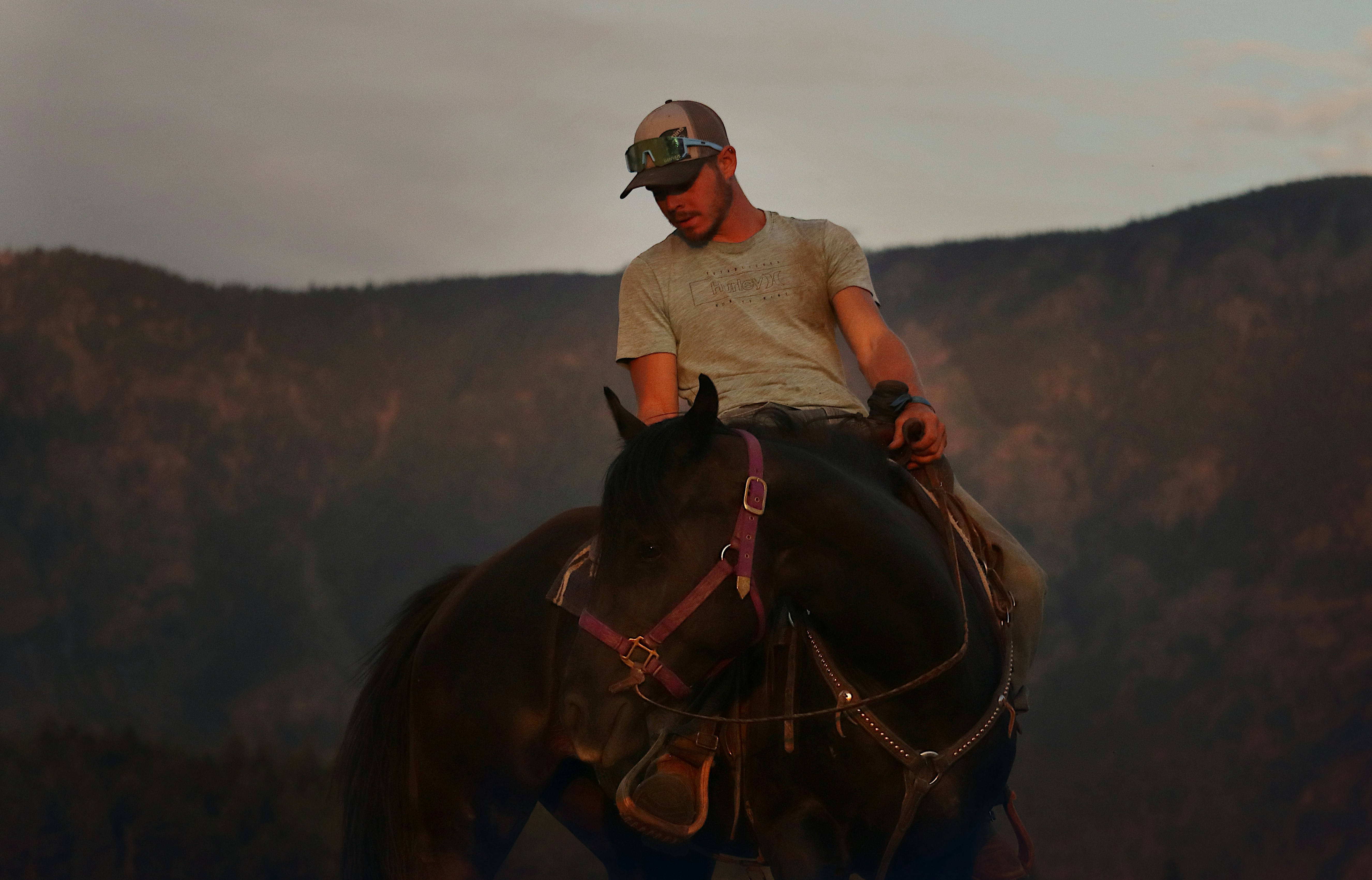 Dusk Drifter: A Rider and Dark Horse Claim the Quiet Hills