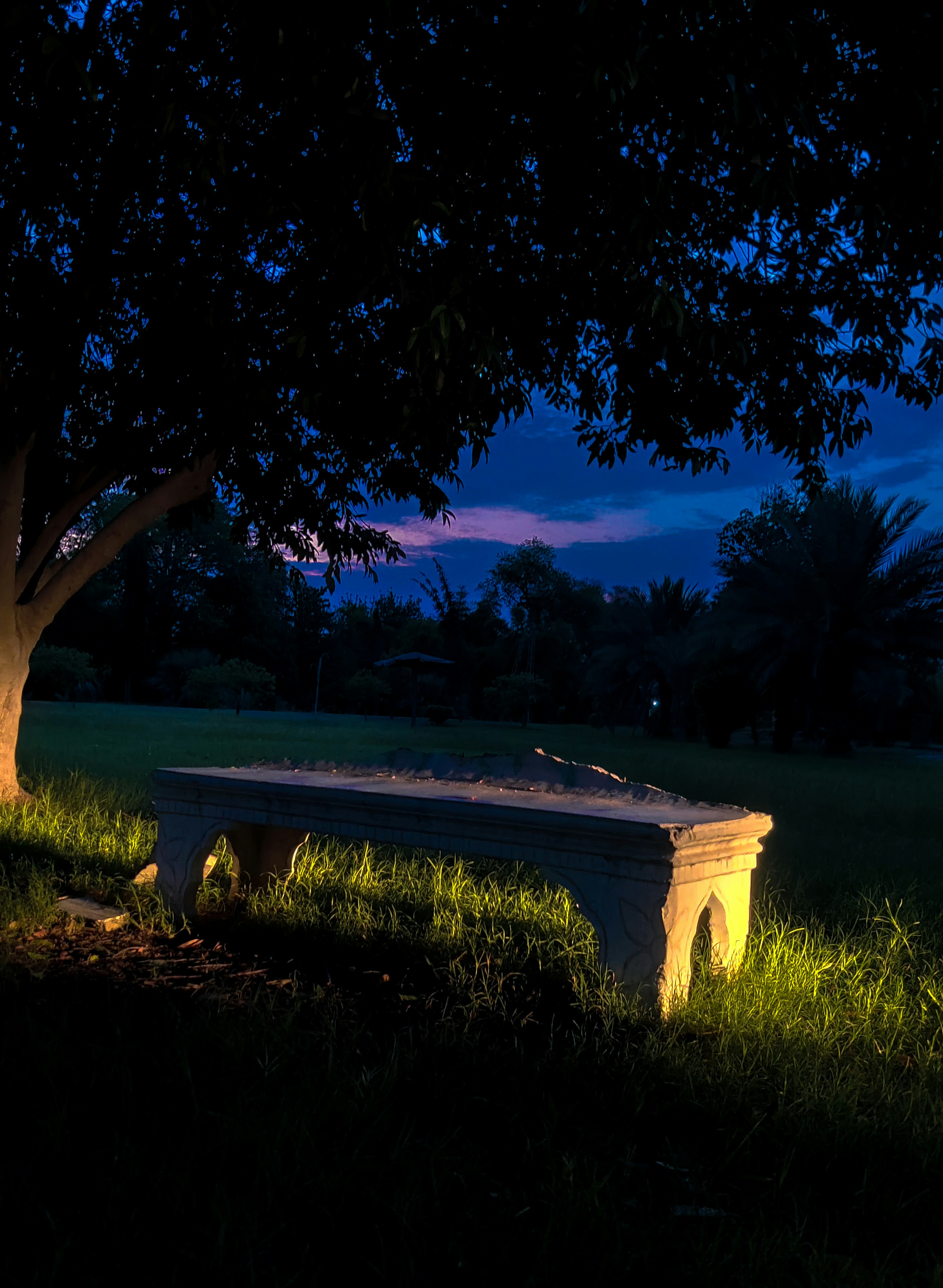 A very moody picture