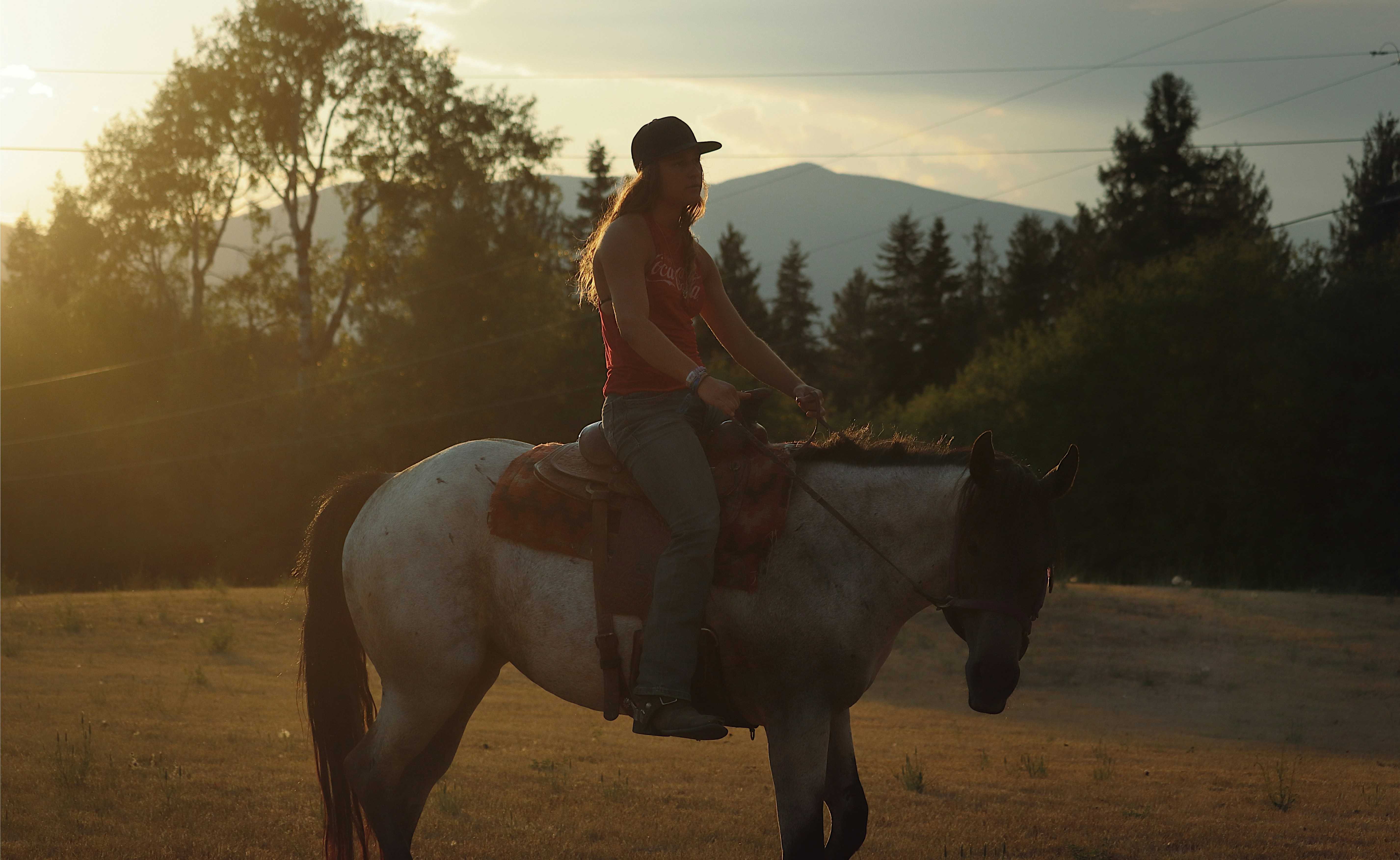 Golden Hour Ride: Rider and Horse in a Quiet Meadow