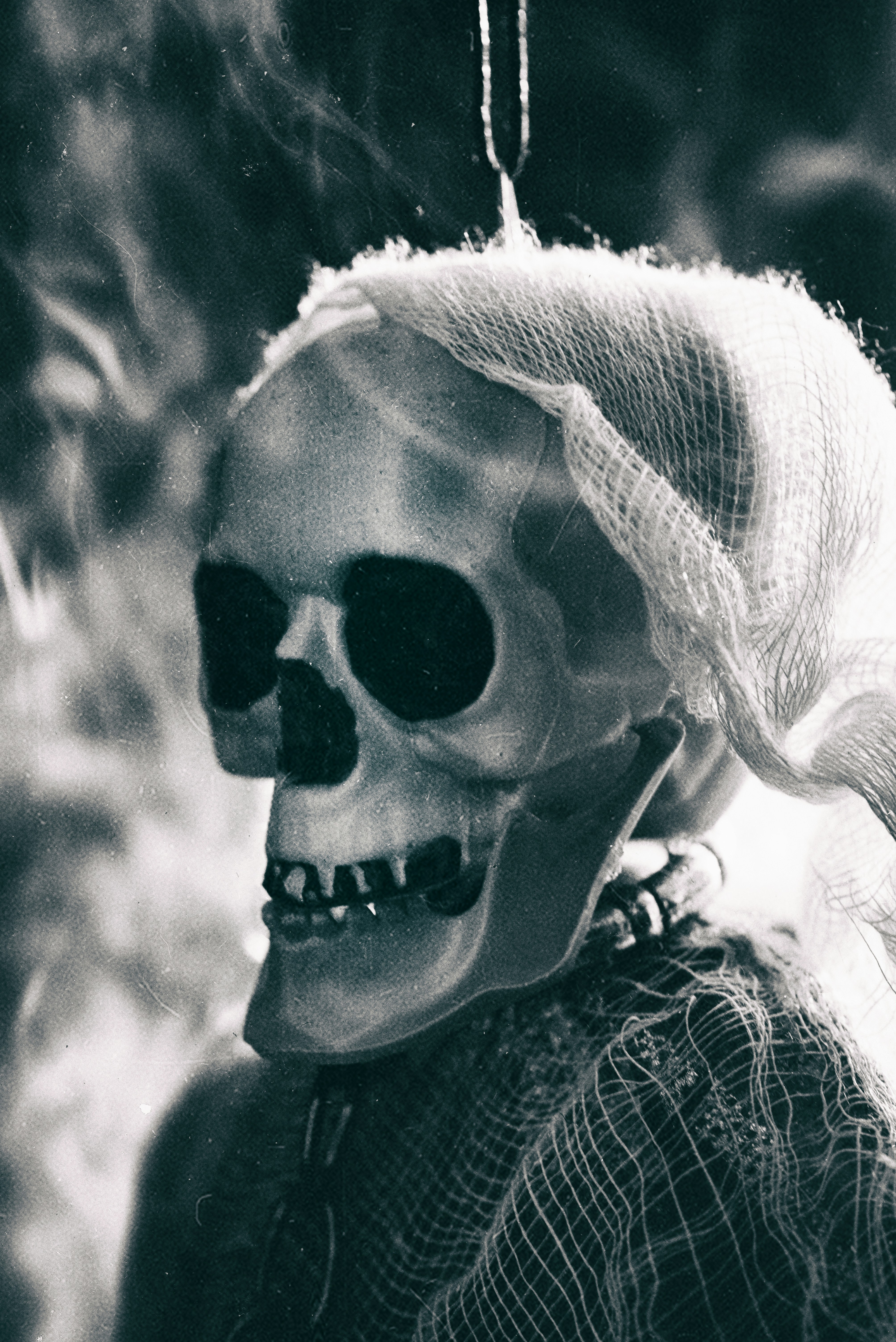 A skeleton wearing a veil and smoking a cigarette photo – Free Skeleton ...