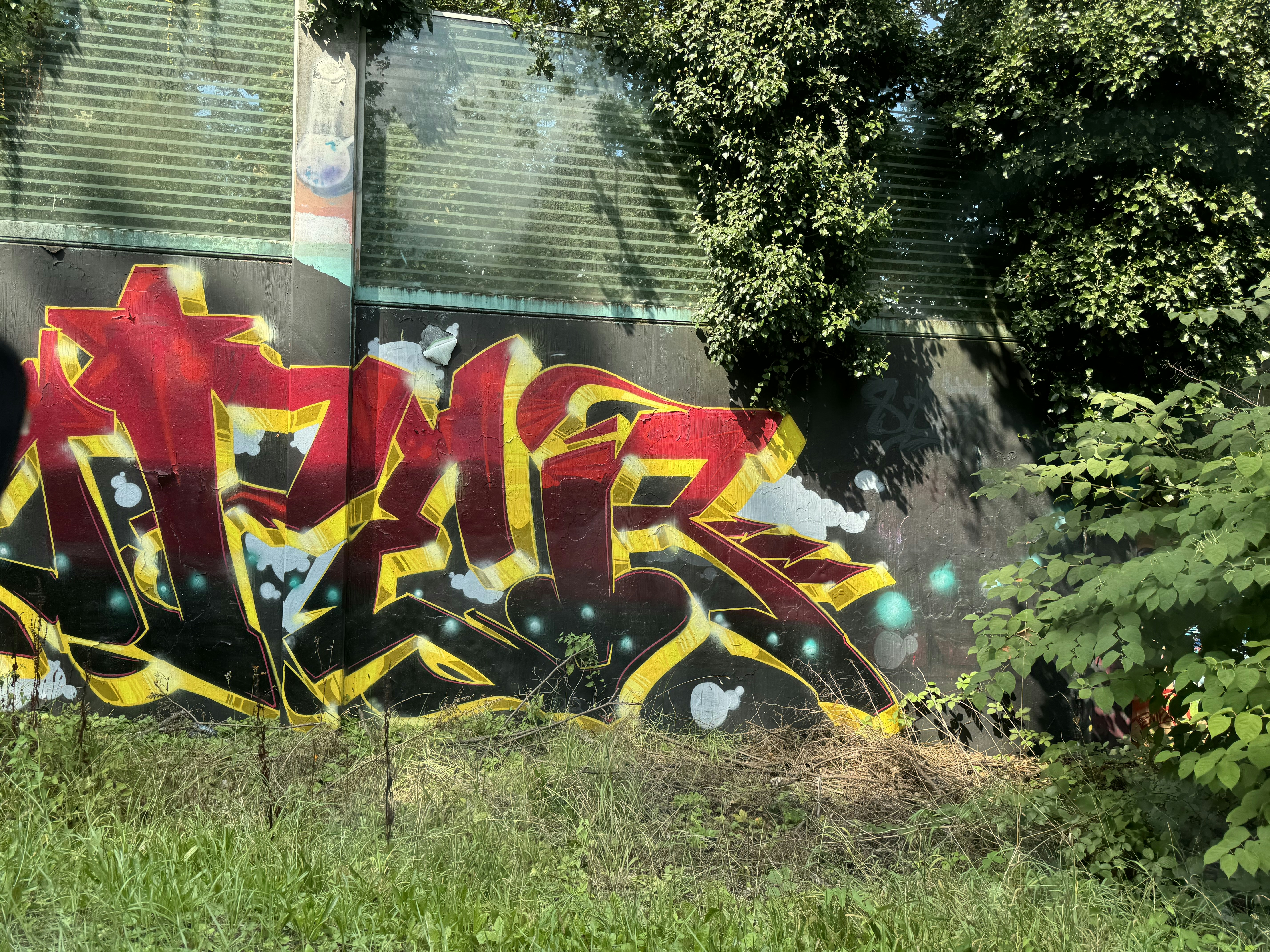 A wall covered in graffiti next to a forest photo – Free Art Image on ...
