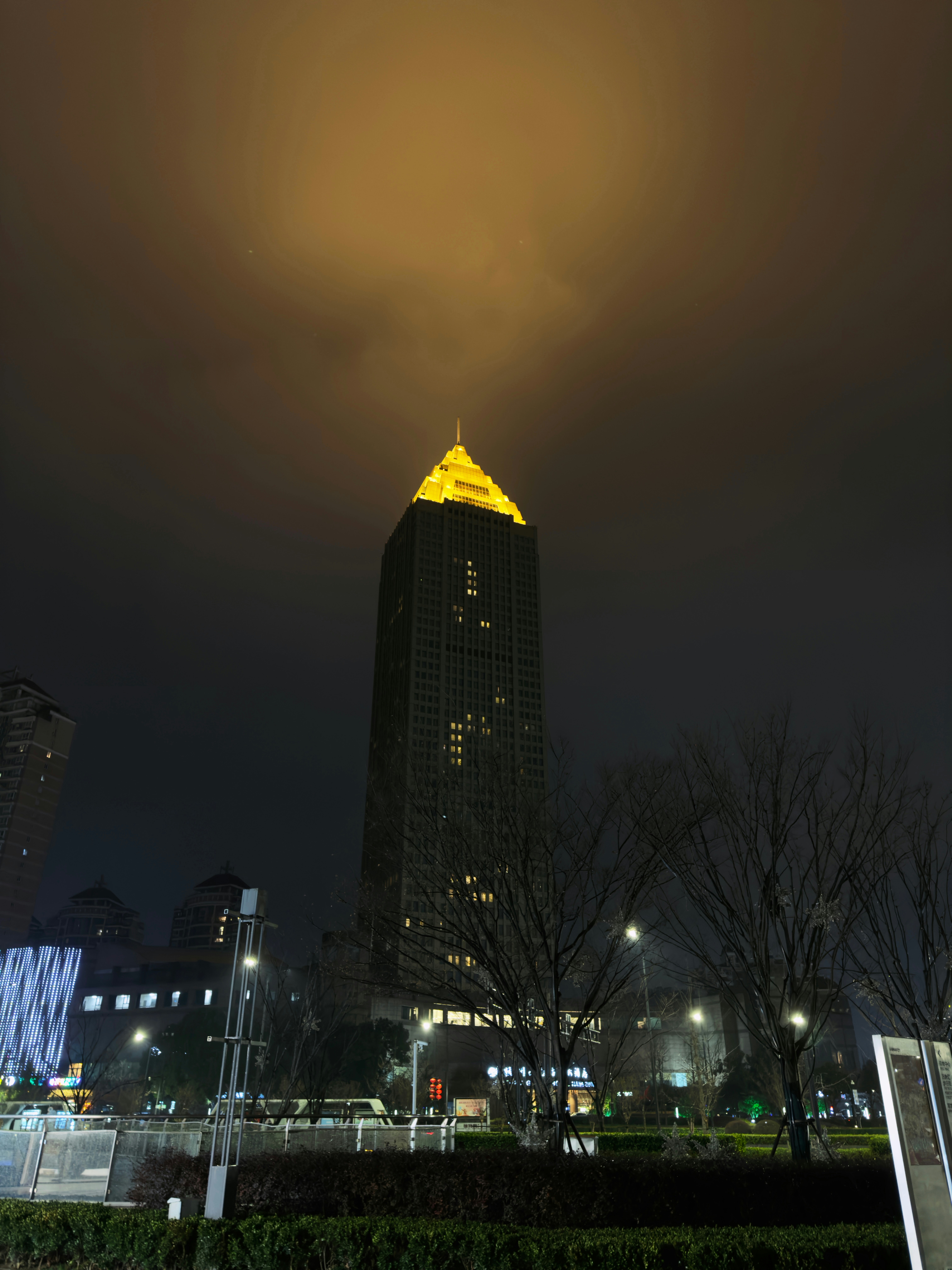 Golden Crown atop a Midnight Tower