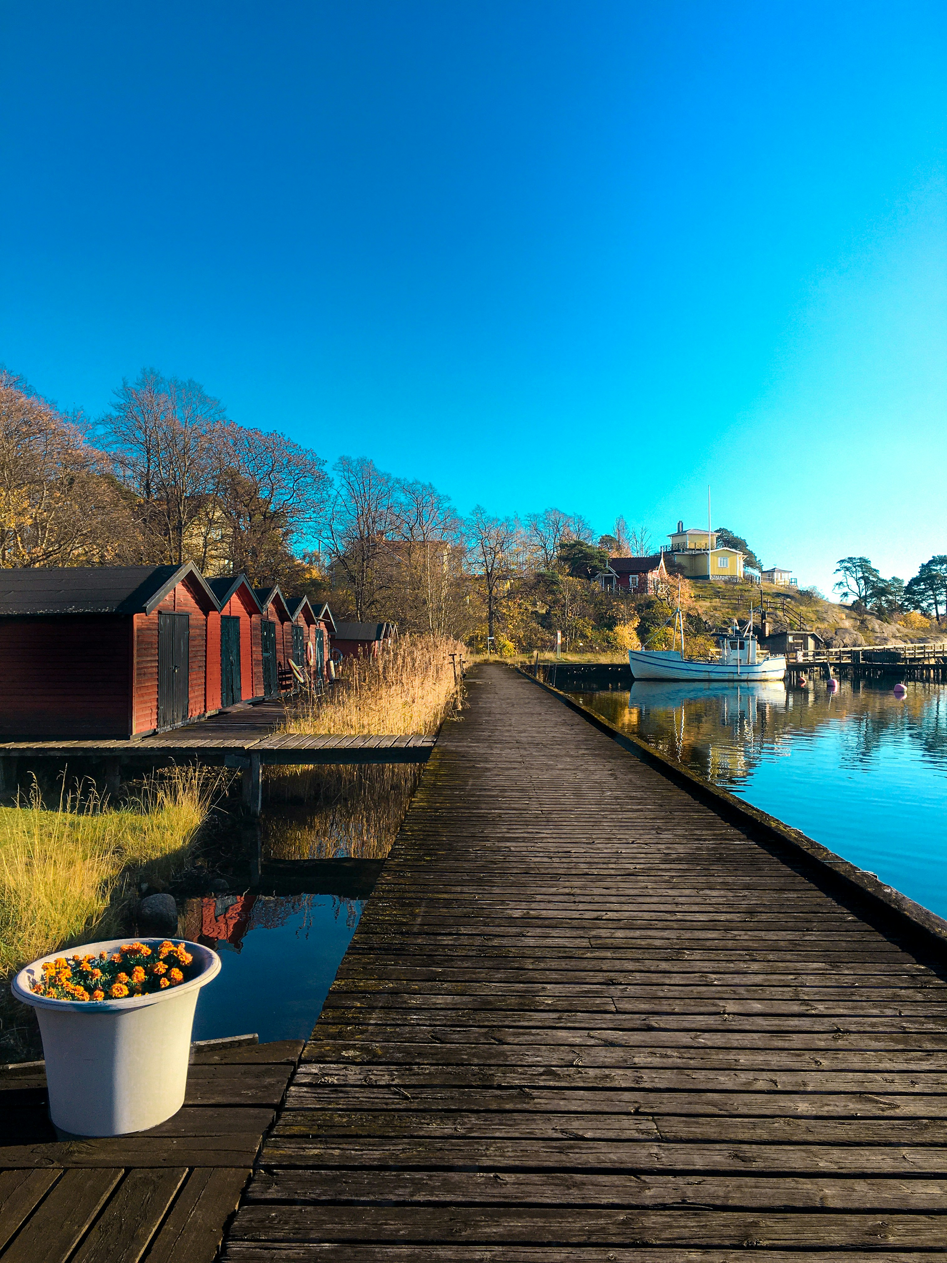 A Wooden Causeway Toward Calm Waters
