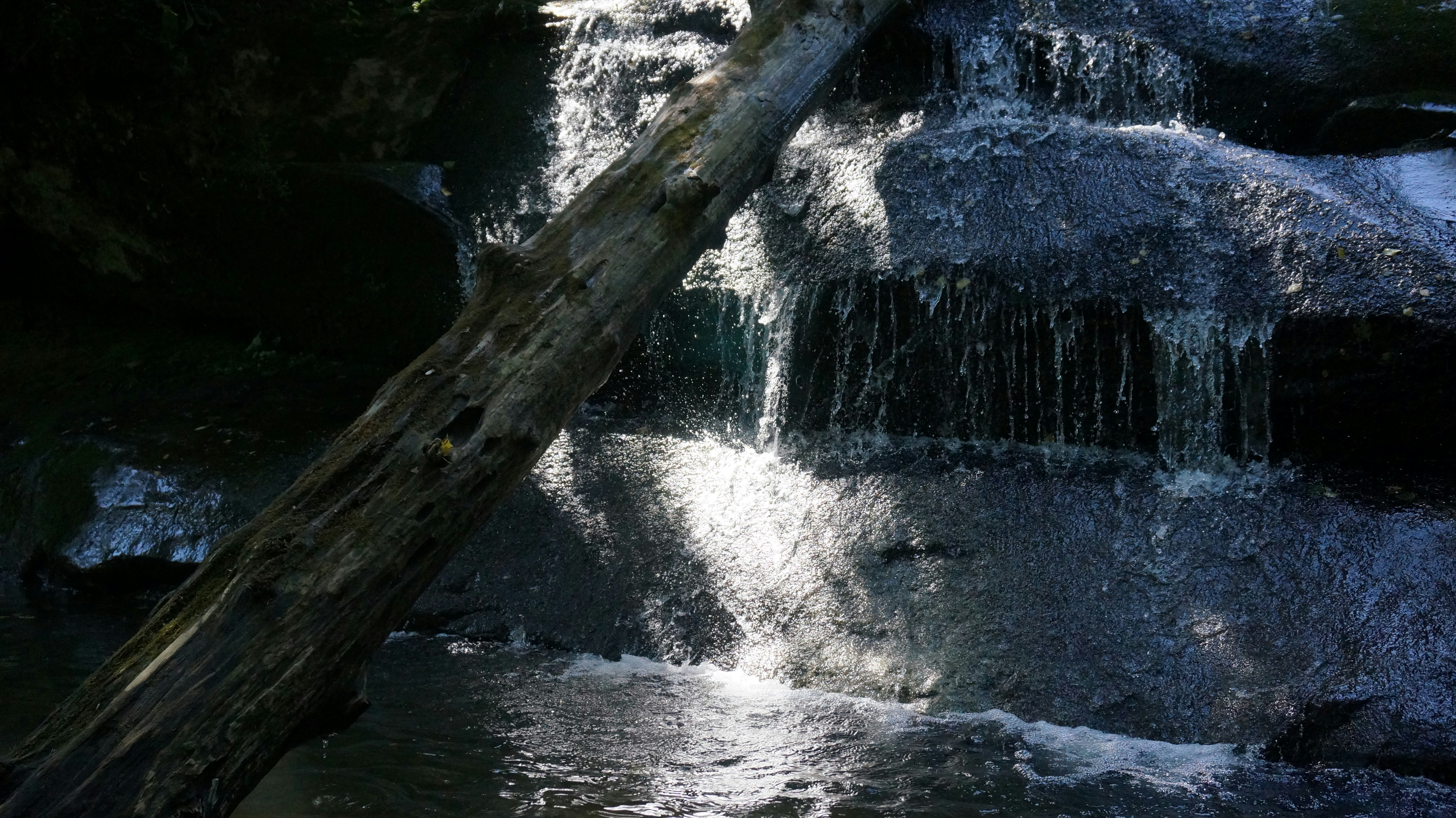 Whispers of the Waterfall: Nature's Gentle Flow