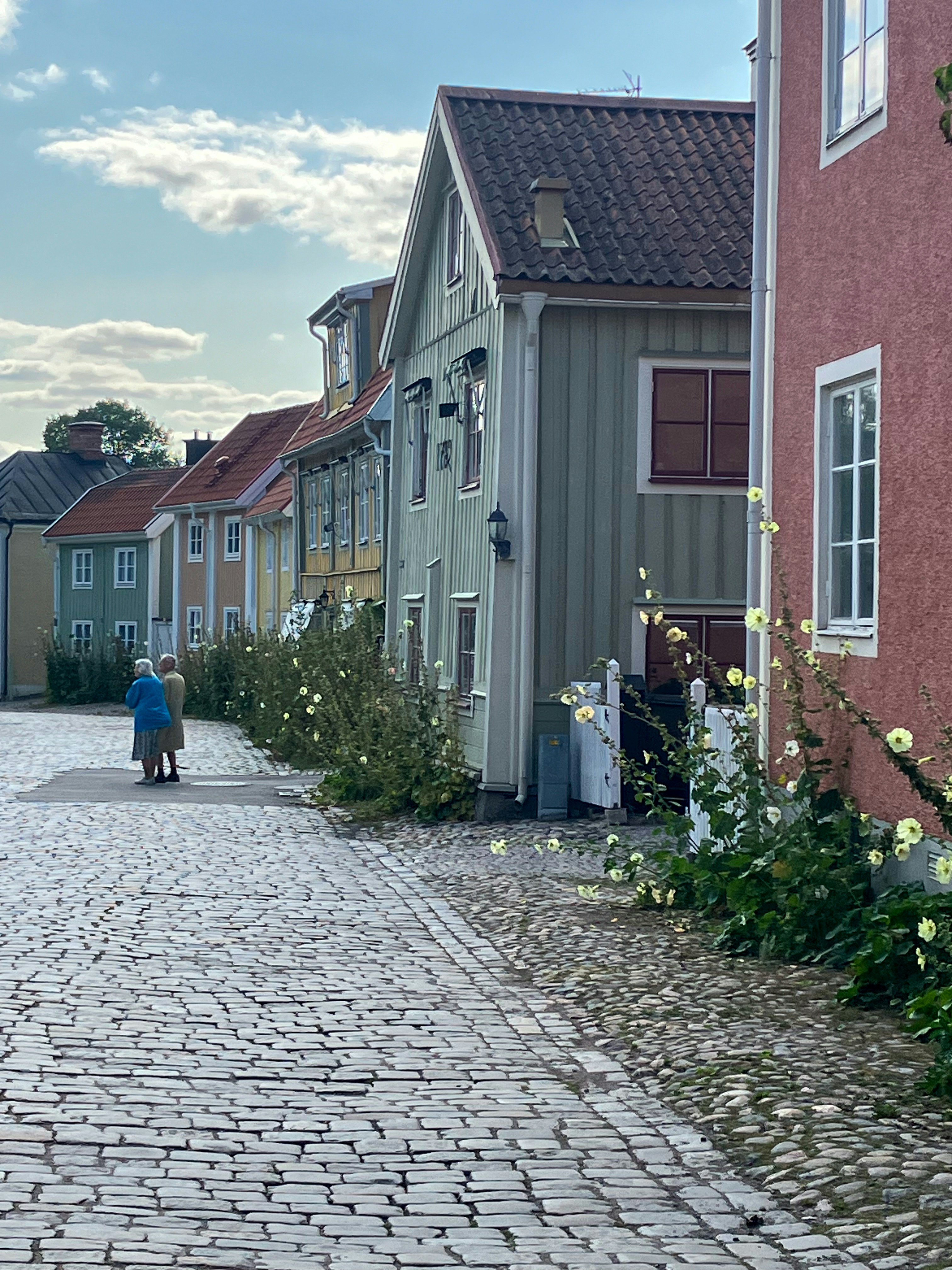 Suede Pictures | Download Free Images on Unsplash