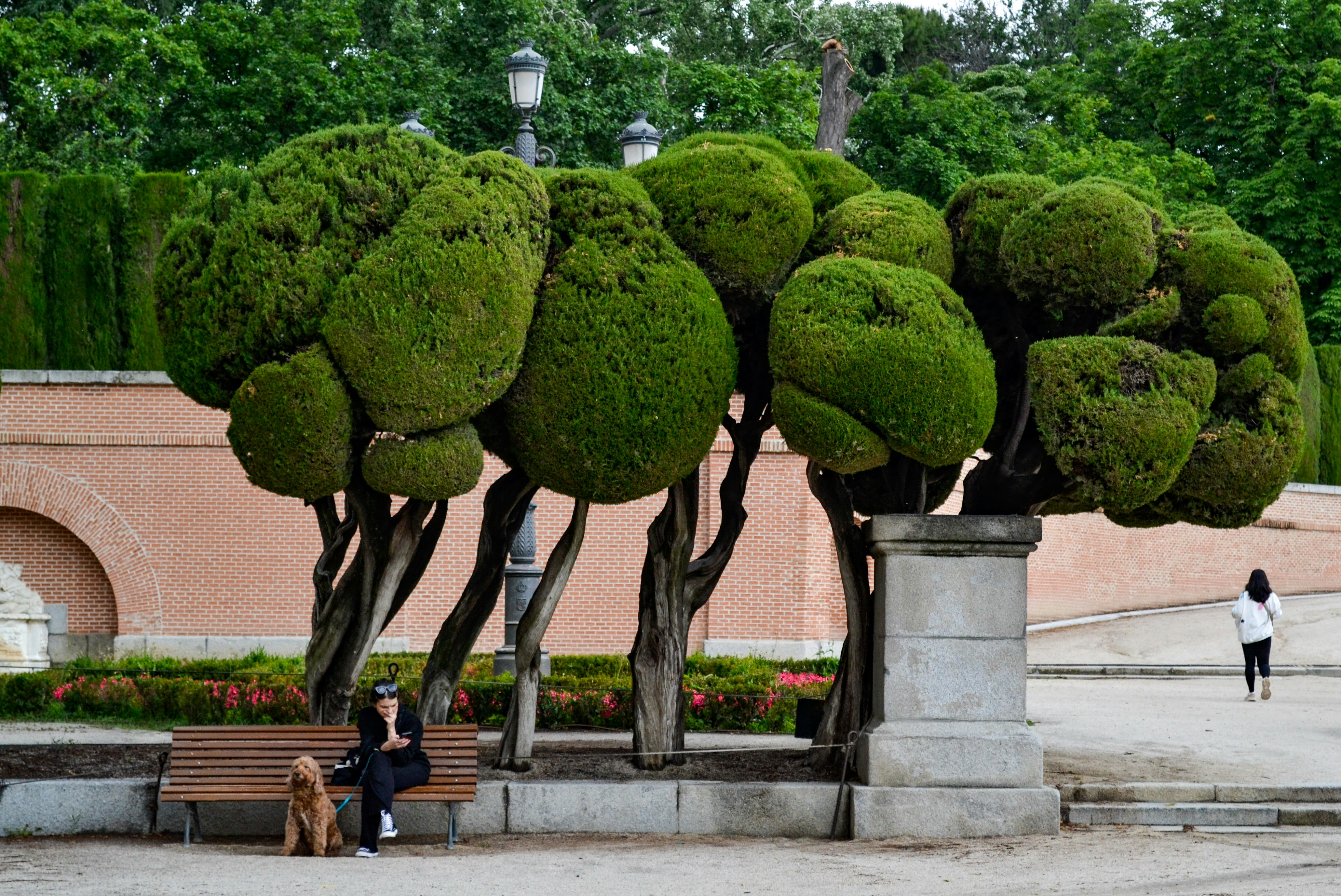 A couple of people sitting on a bench next to trees photo – Free Madrid ...