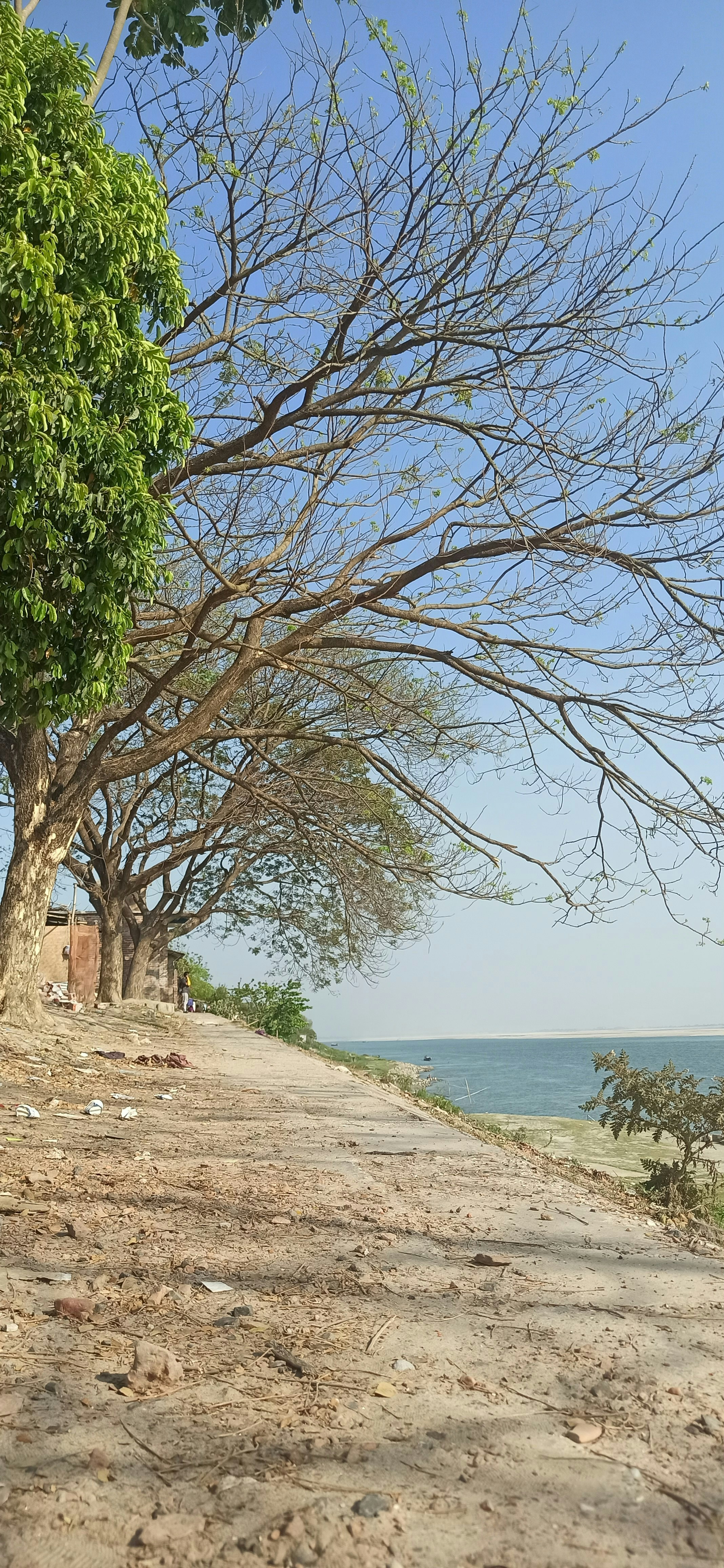 Photo by ▀▄ with Xiaomi Redmi Note 8 Pro