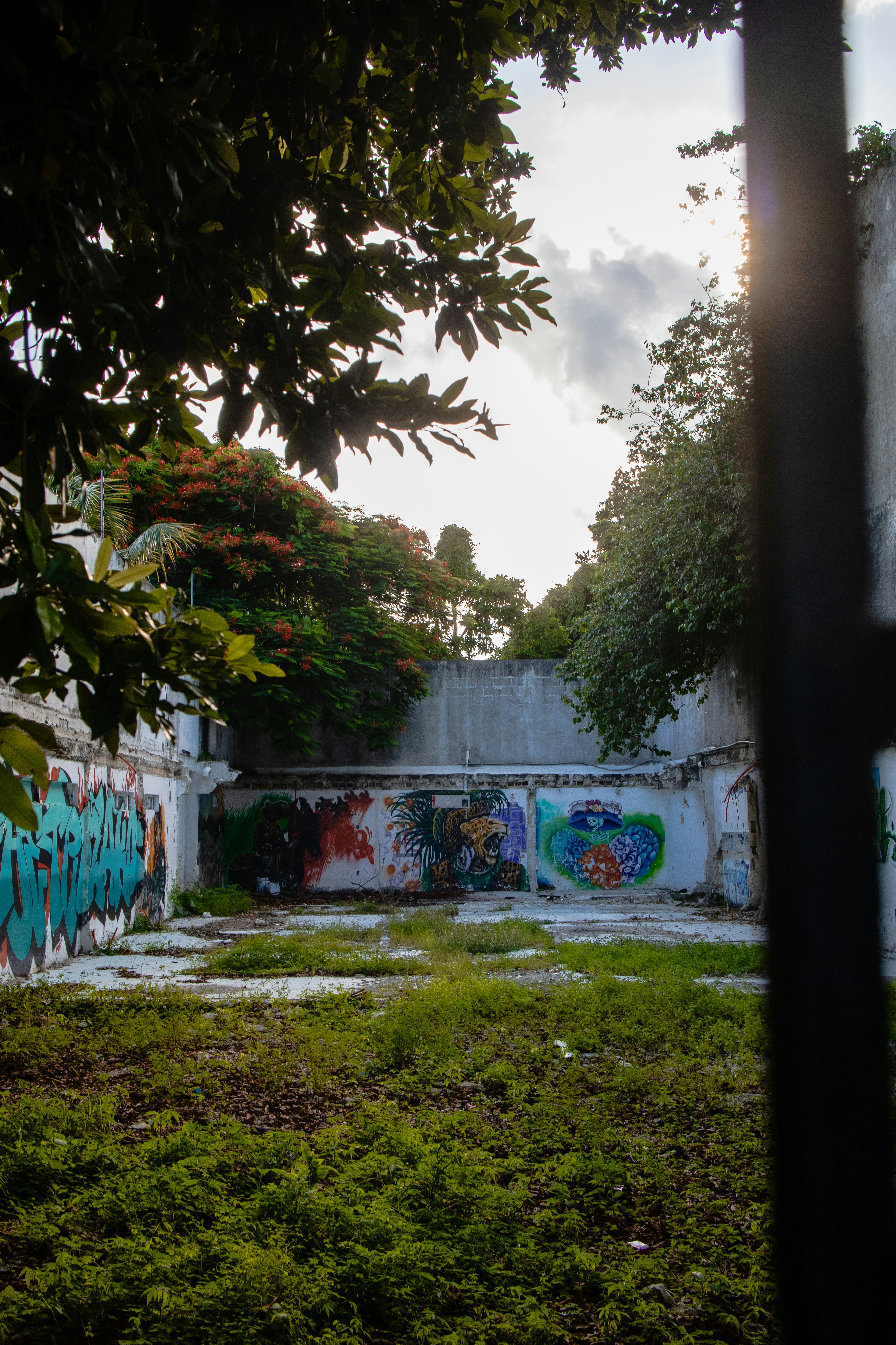 Graffiti Courtyard: Overgrown Field Framed by Trees and a Wrought-Iron Bar