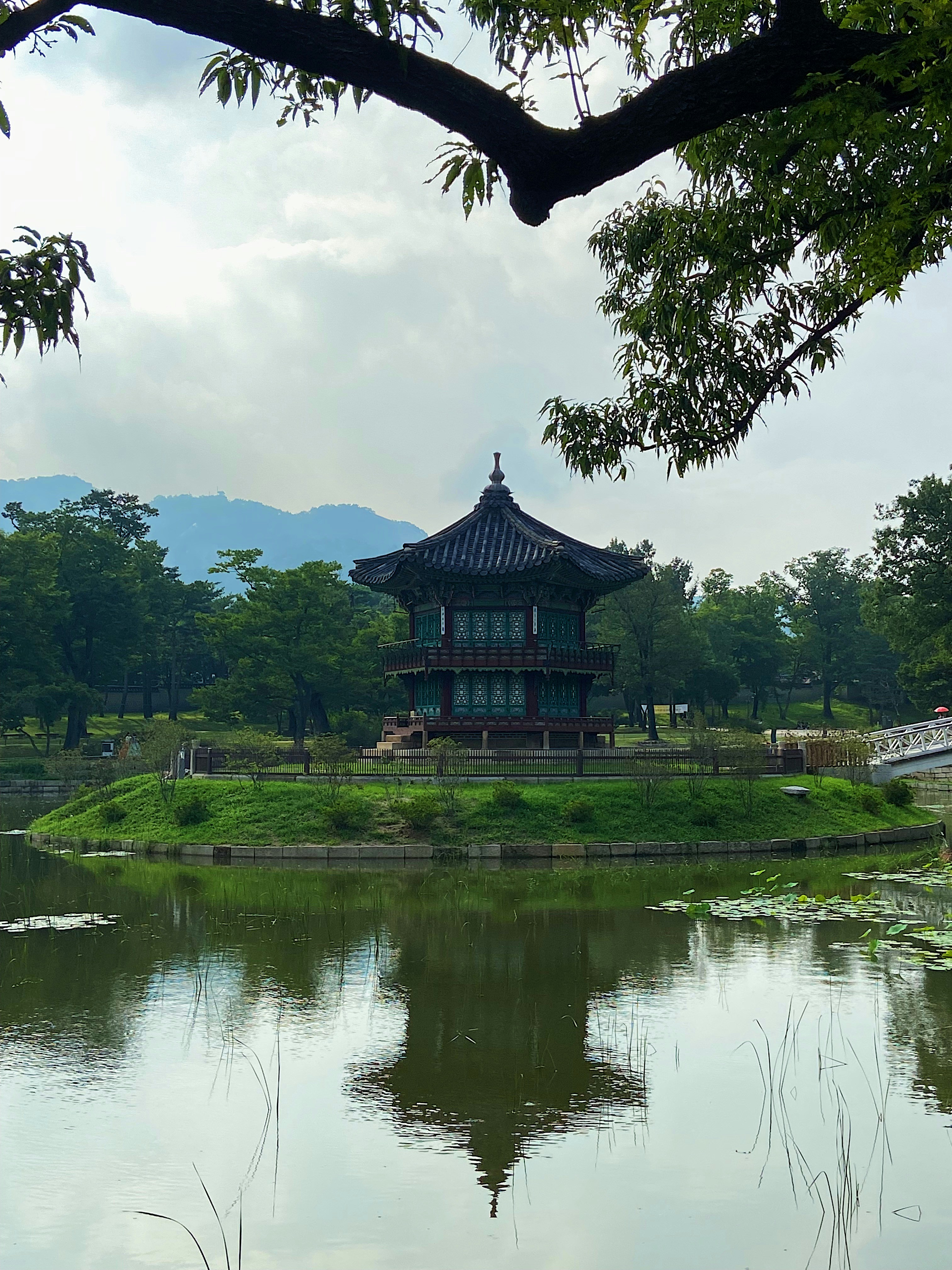 Photo by Sara Darcaj with Apple iPhone 11