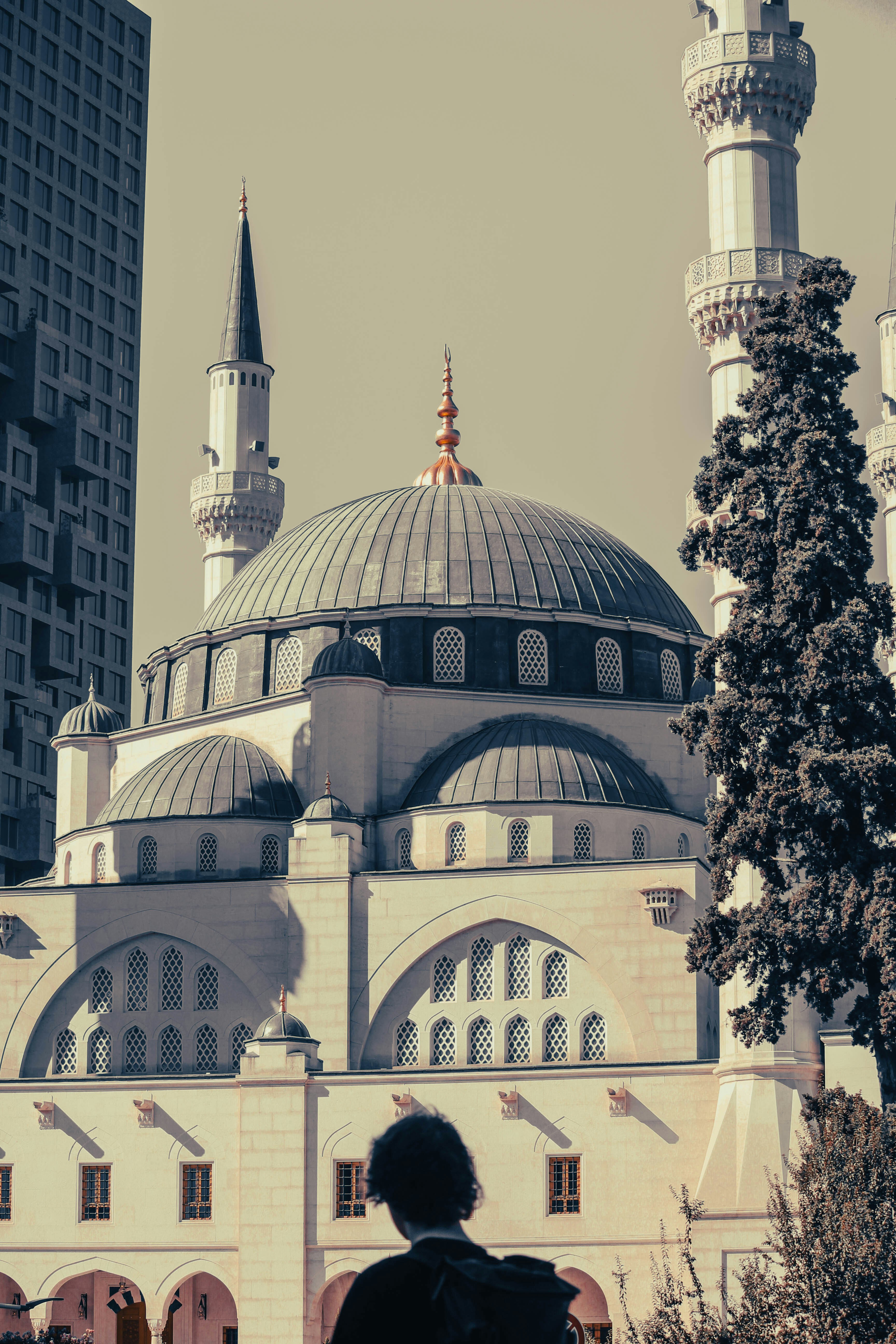 Photo by van asten maarten with Canon EOS 700D