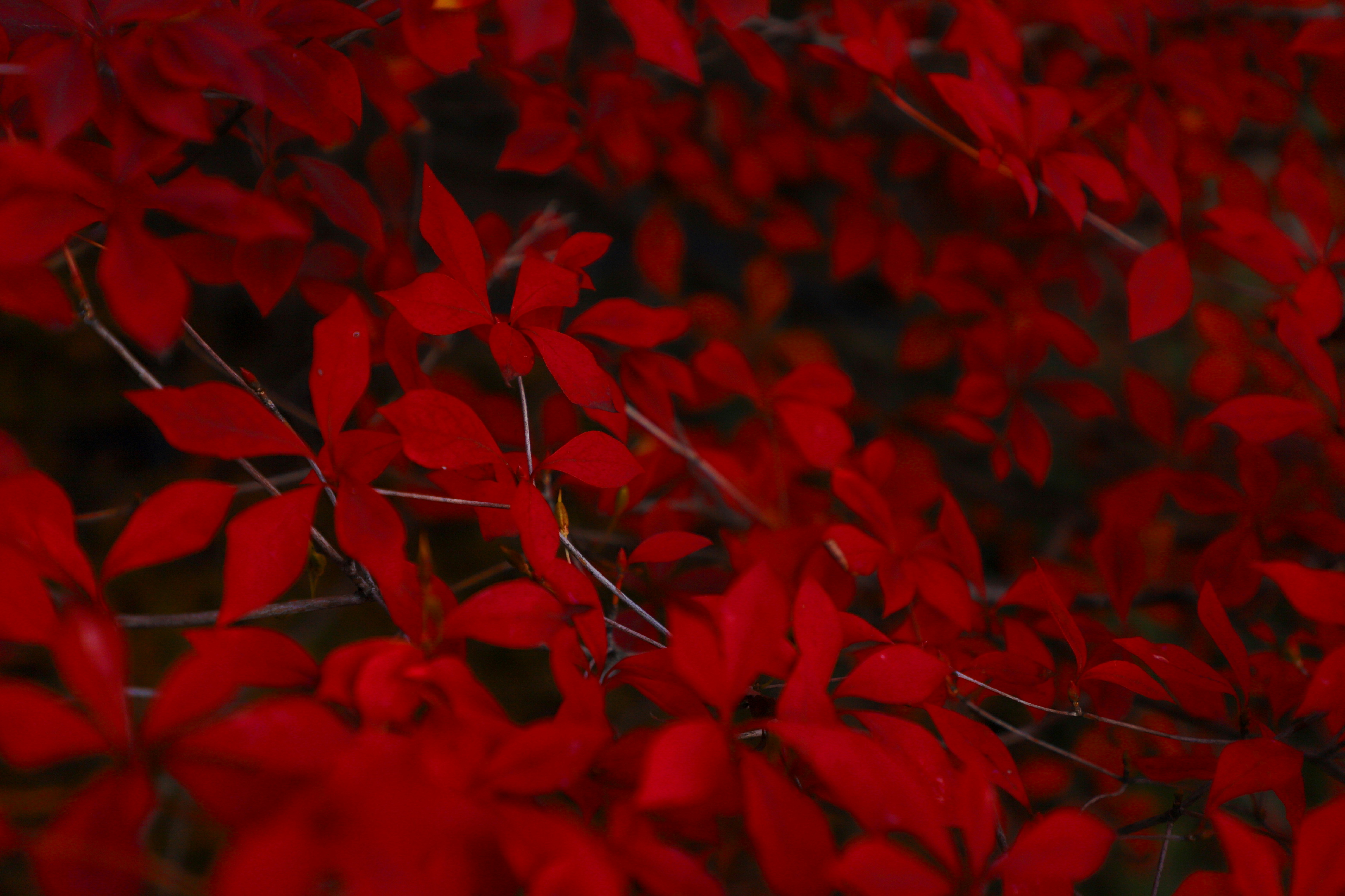 Steven Su (@xpsteven) | Komunitas Foto Unsplash