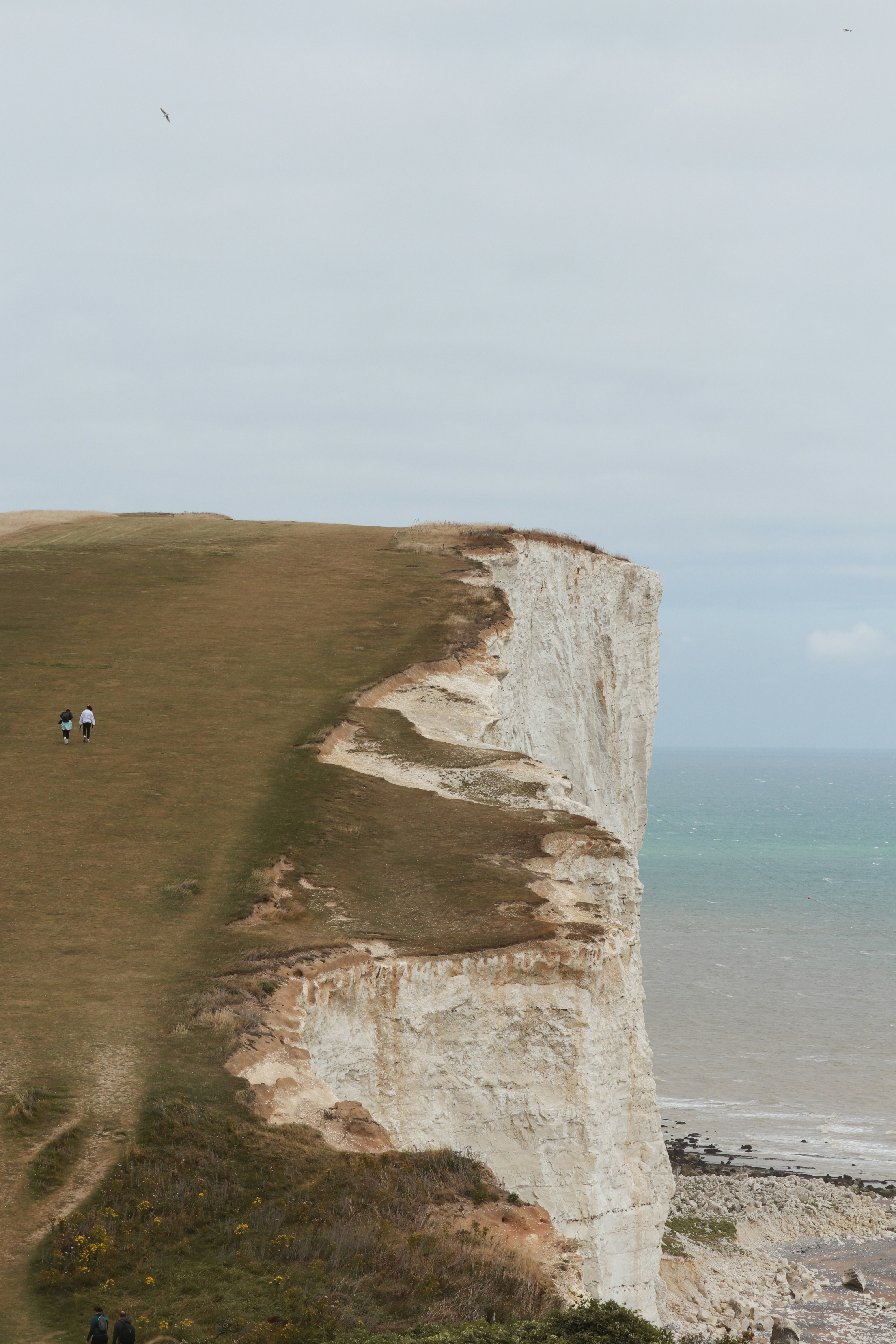 A group of people standing on top of a cliff next to the ocean photo ...