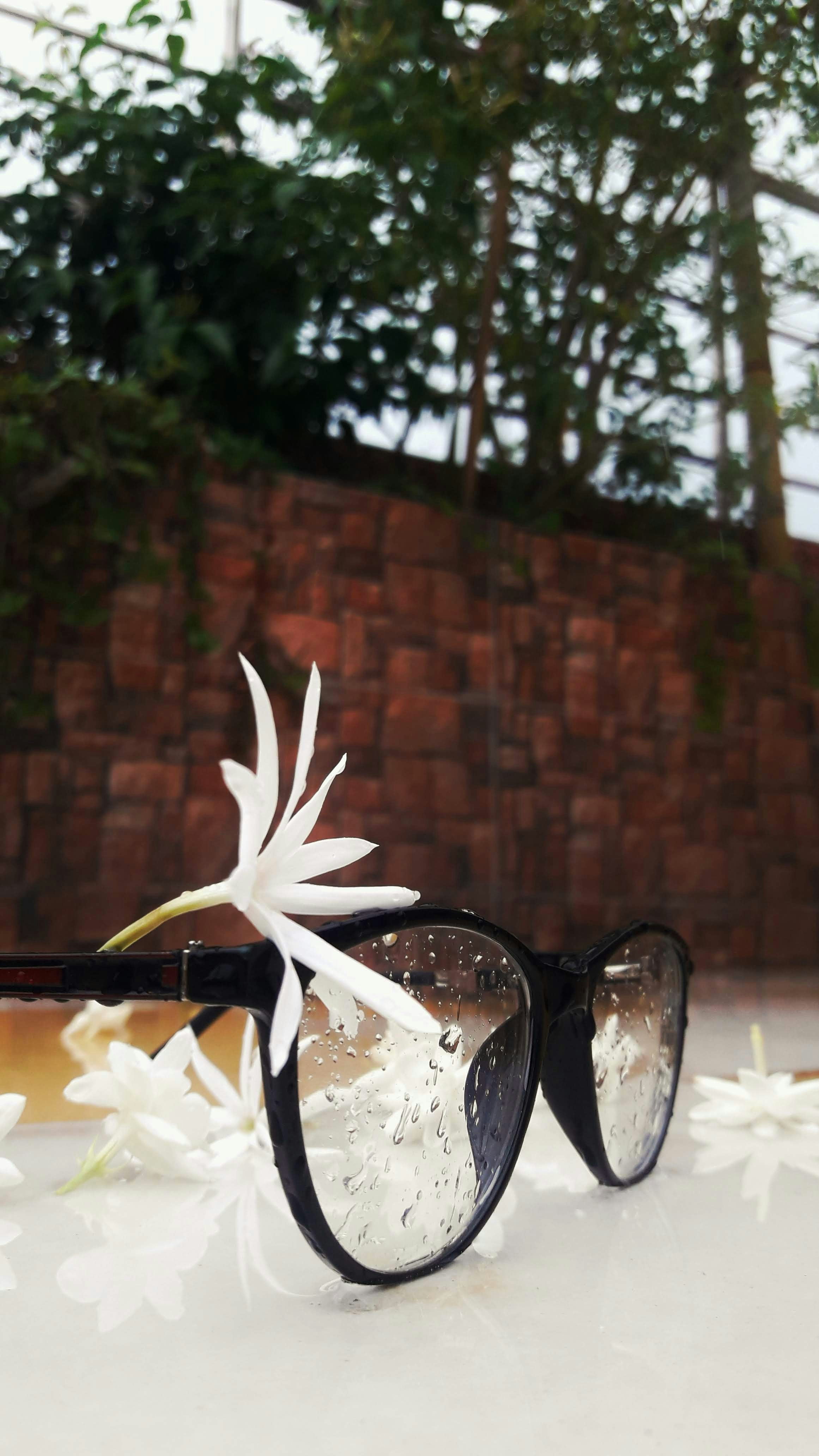 Sunglasses with water droplets rest on a glossy white surface, a white flower tucked through the frame, with a brick wall and greenery in the background.
