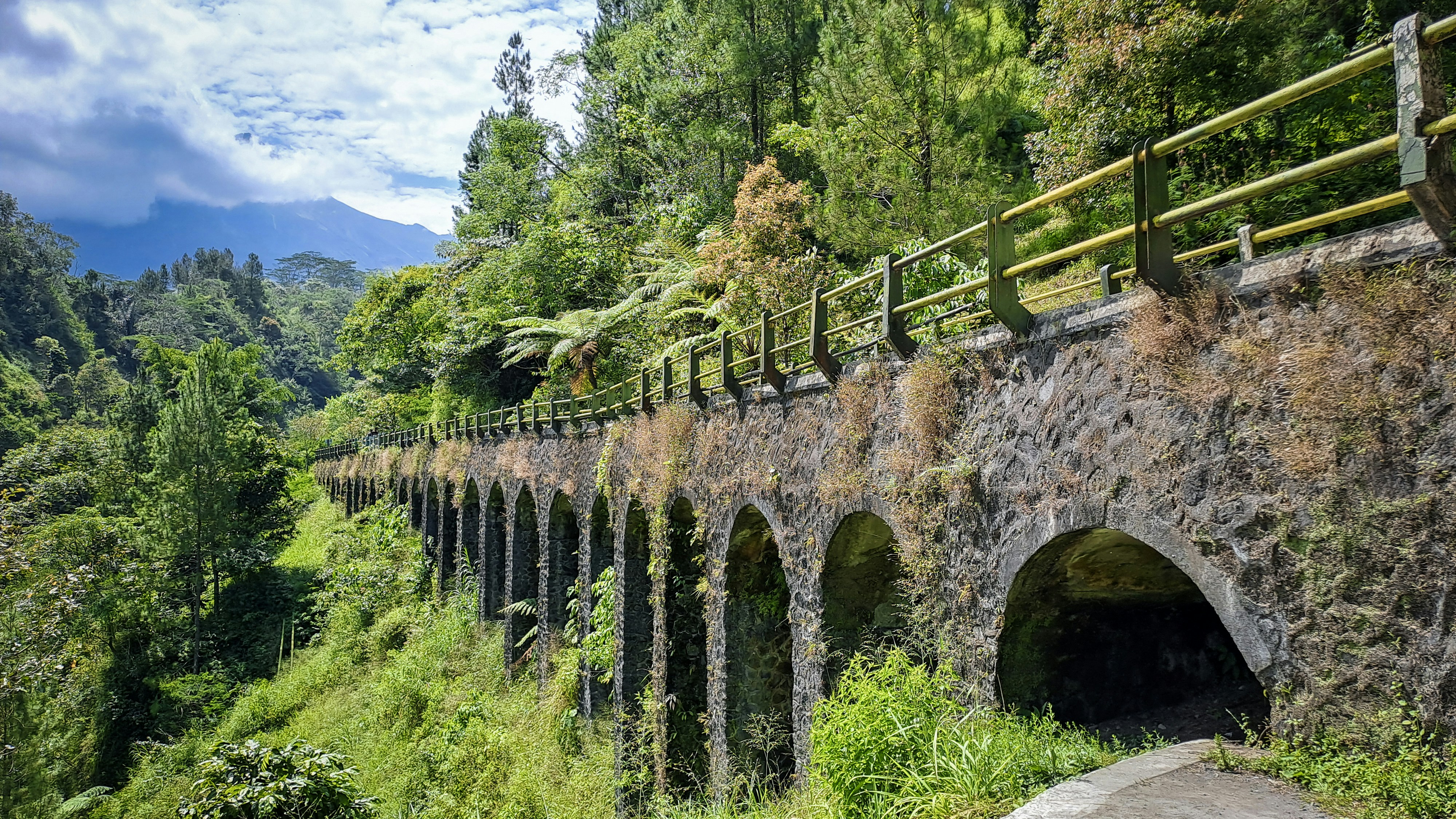 Moss-covered stone viaduct with a row of arches winds along a forested hillside, topped by a railing as sunlight bathes the greenery.