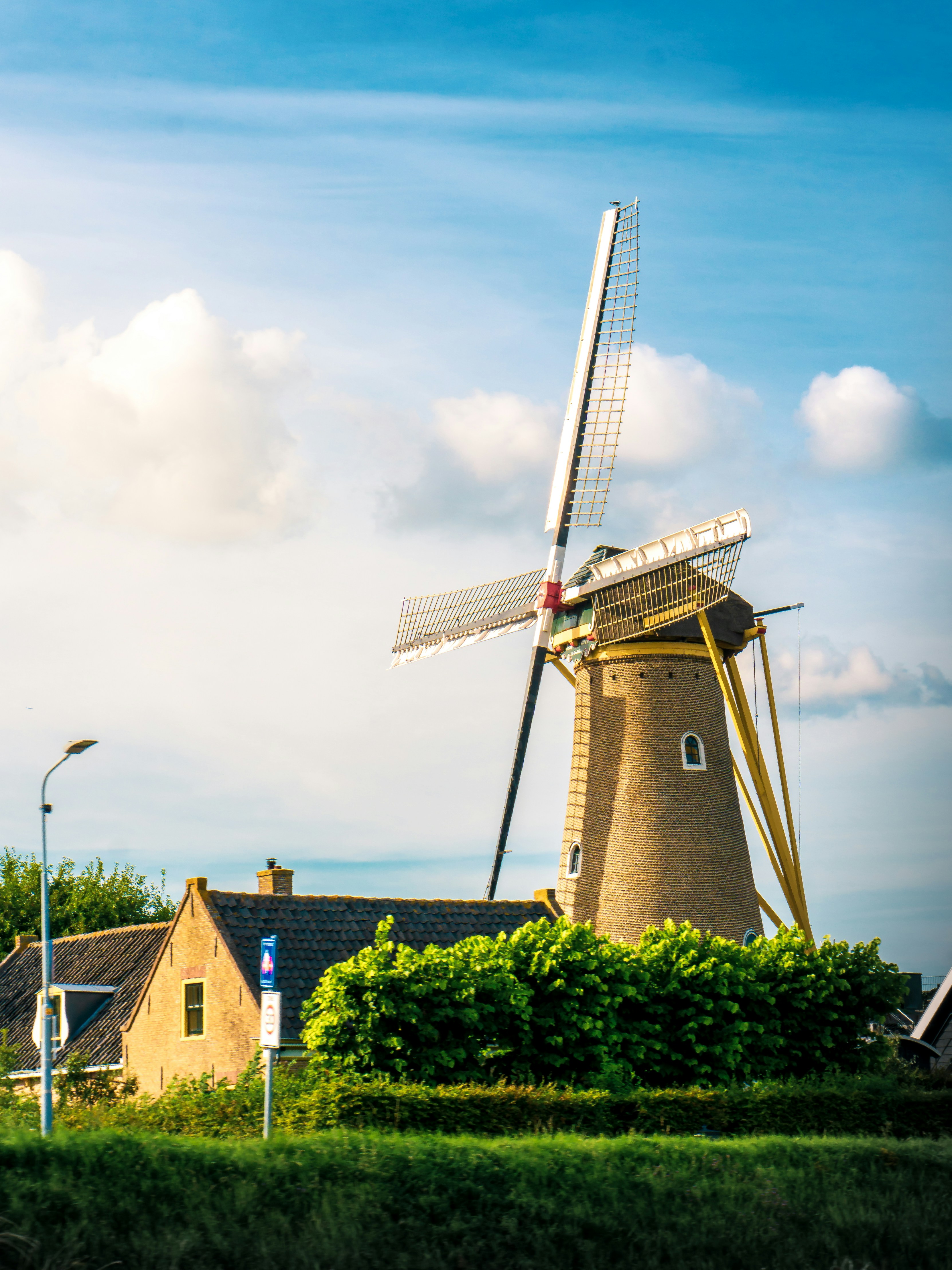 Whispering Blades: Windmill Reaches Toward a Clear Sky