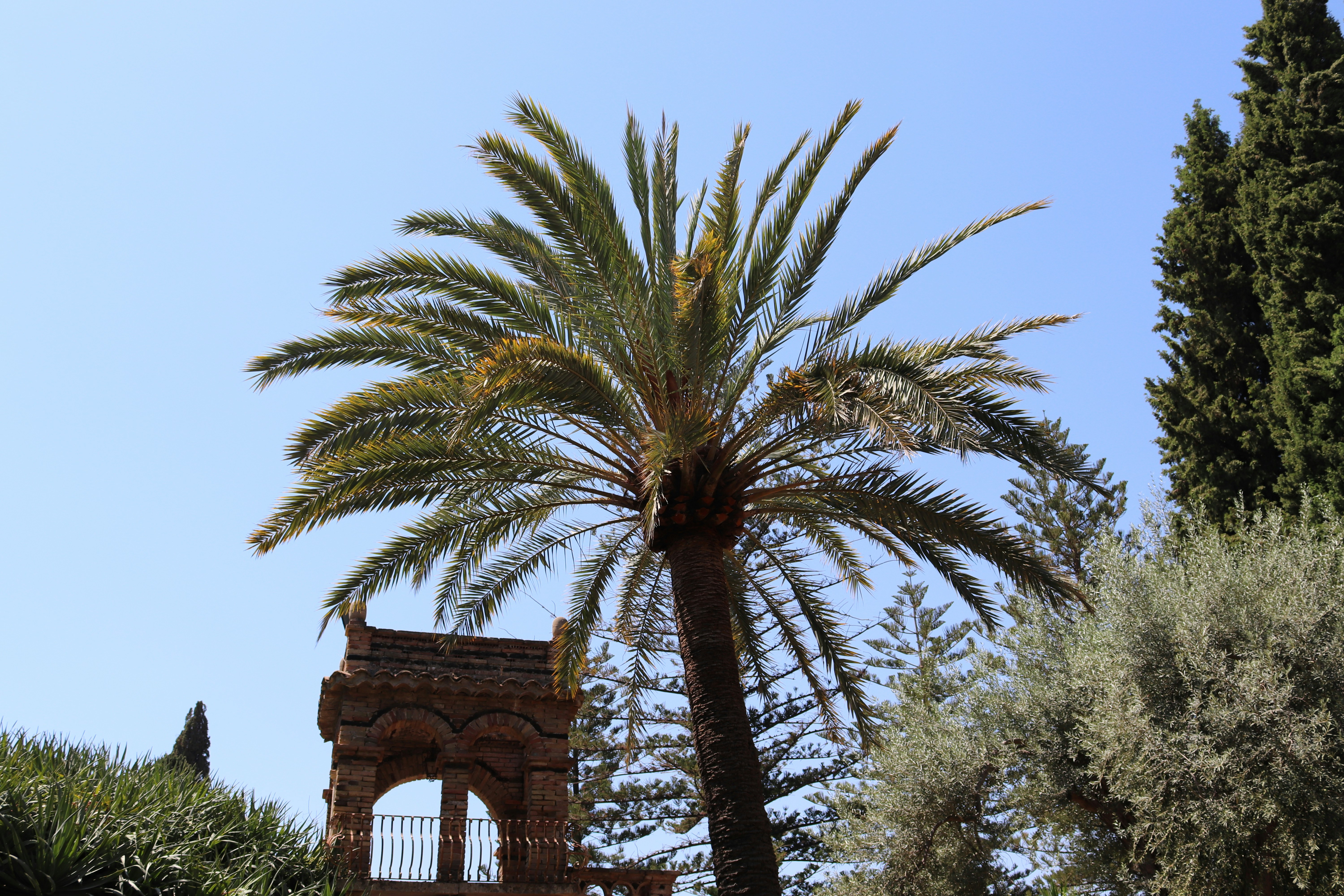 Photo by Andrea Olivieri with Canon EOS 200D