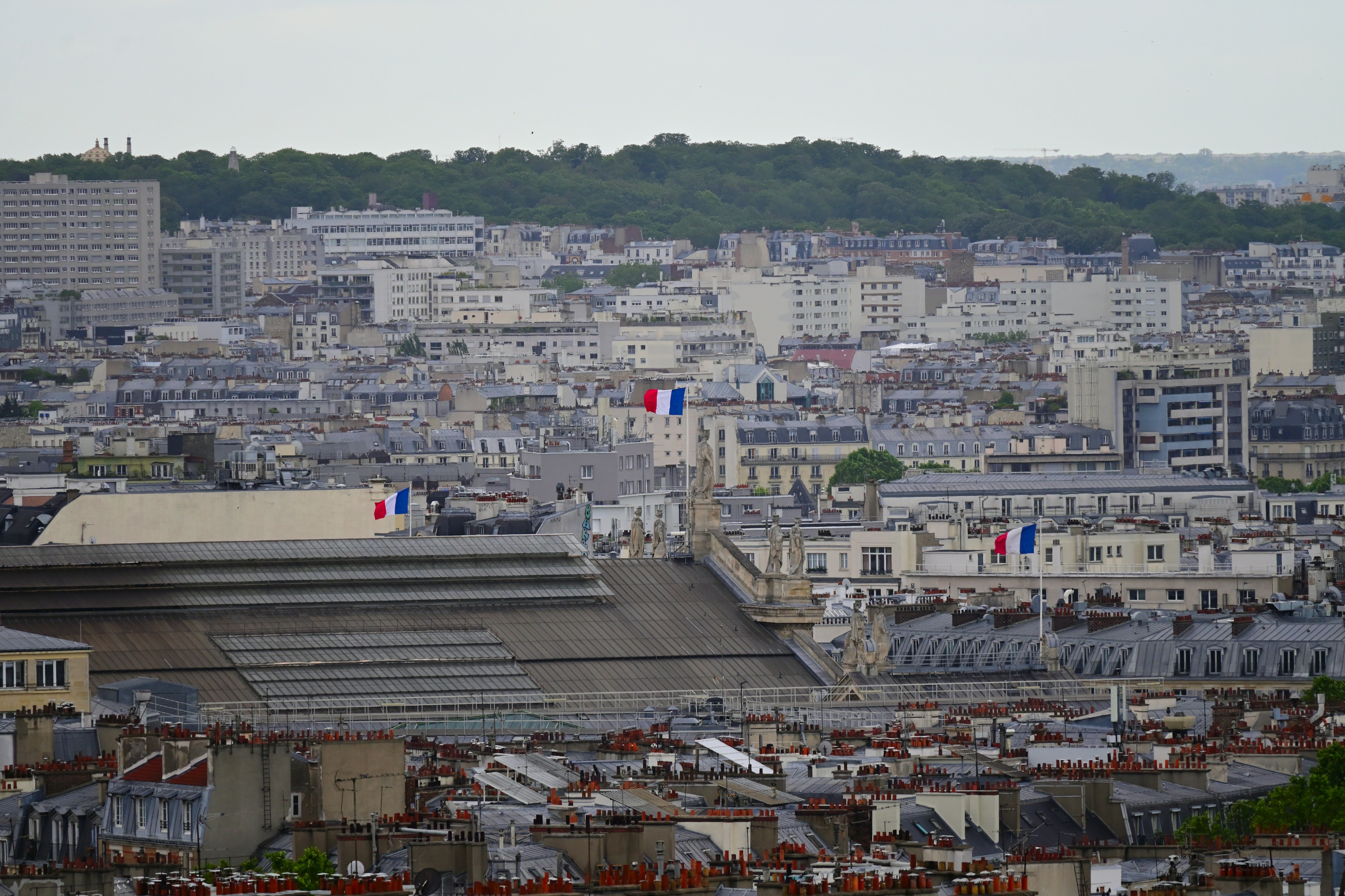 Rooftops and Flags: A Tricolor Cityscape