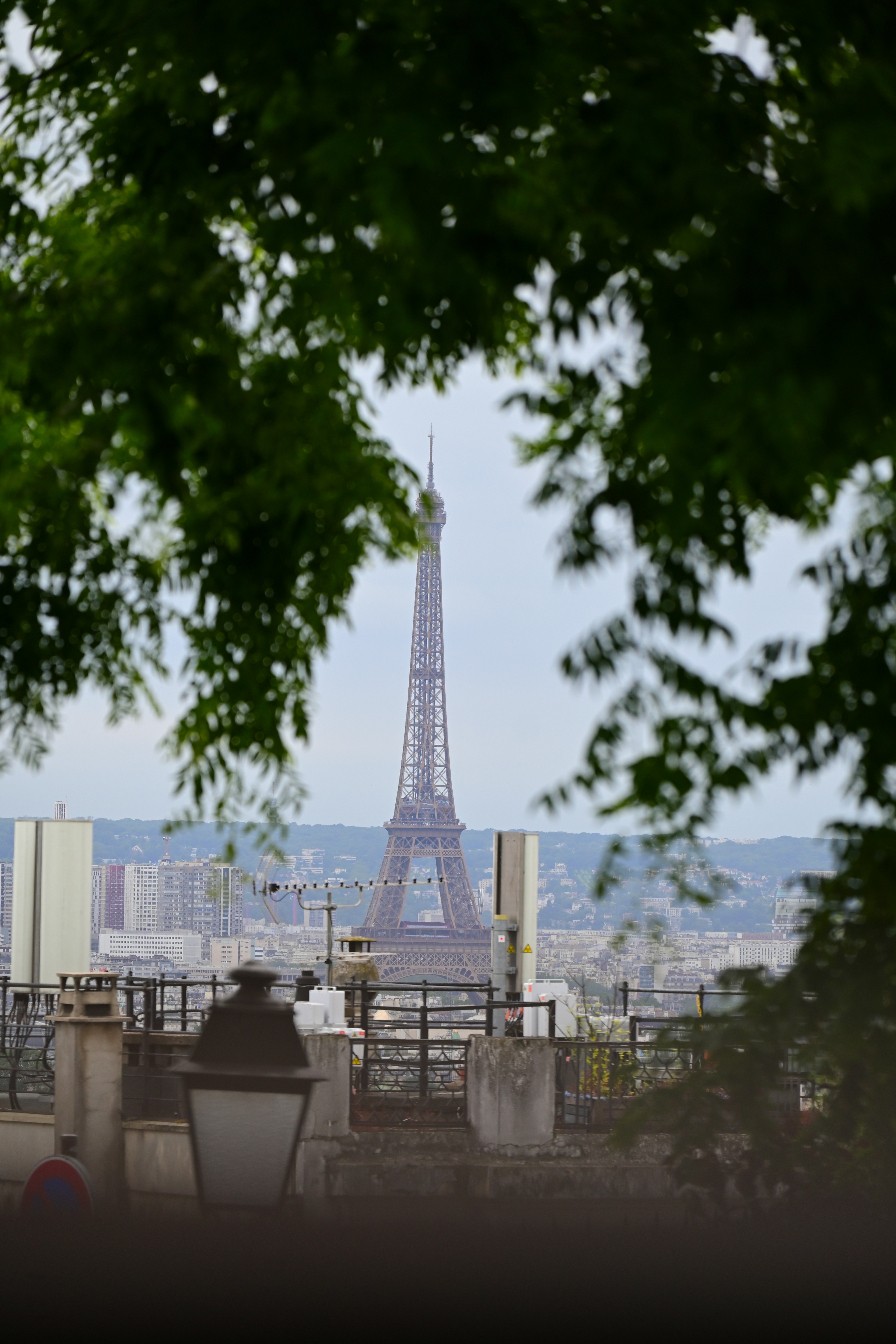Eiffel Tower Framed by Parisian Rooftops and a Green Canopy
