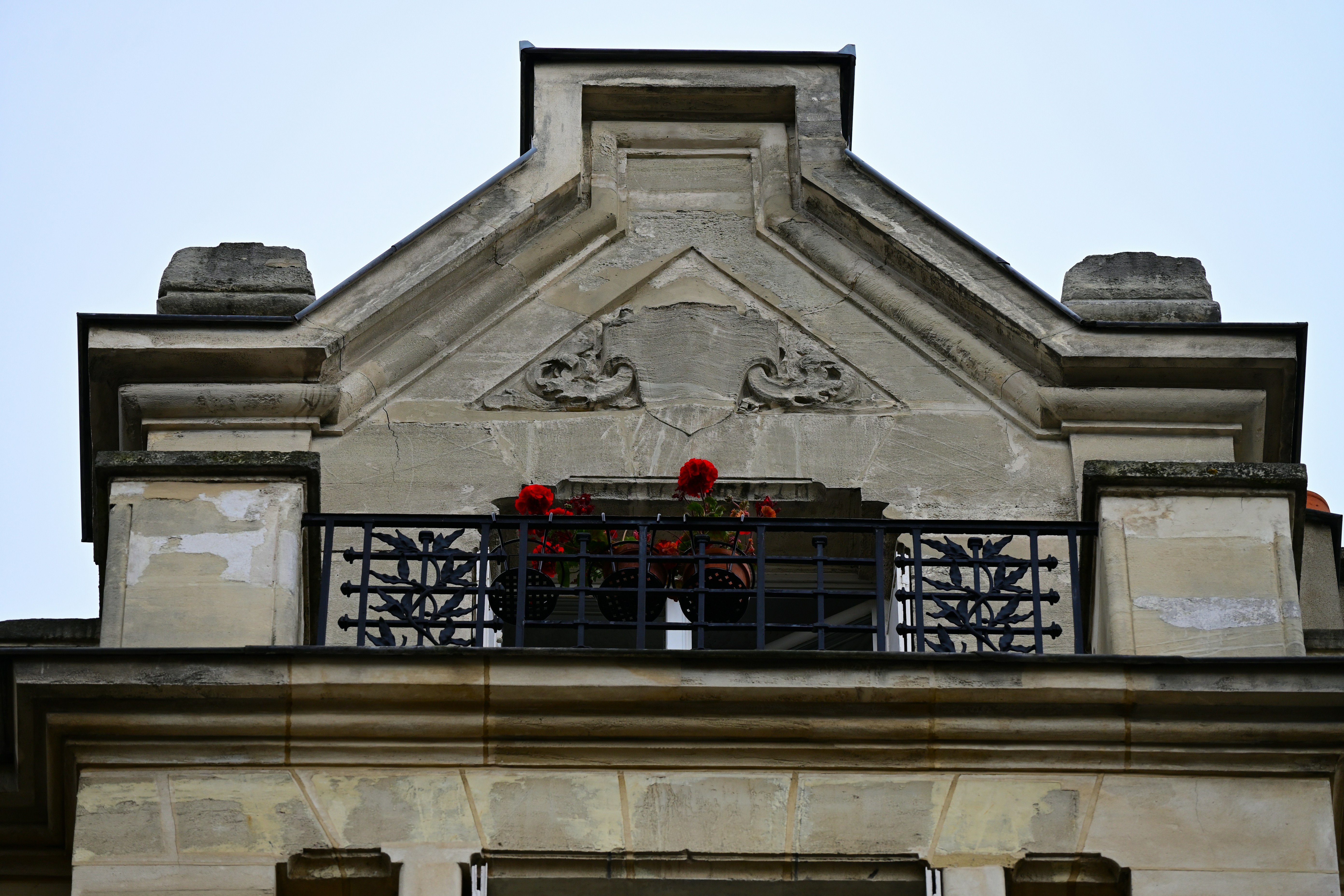 Sample photo from Nikon Z30