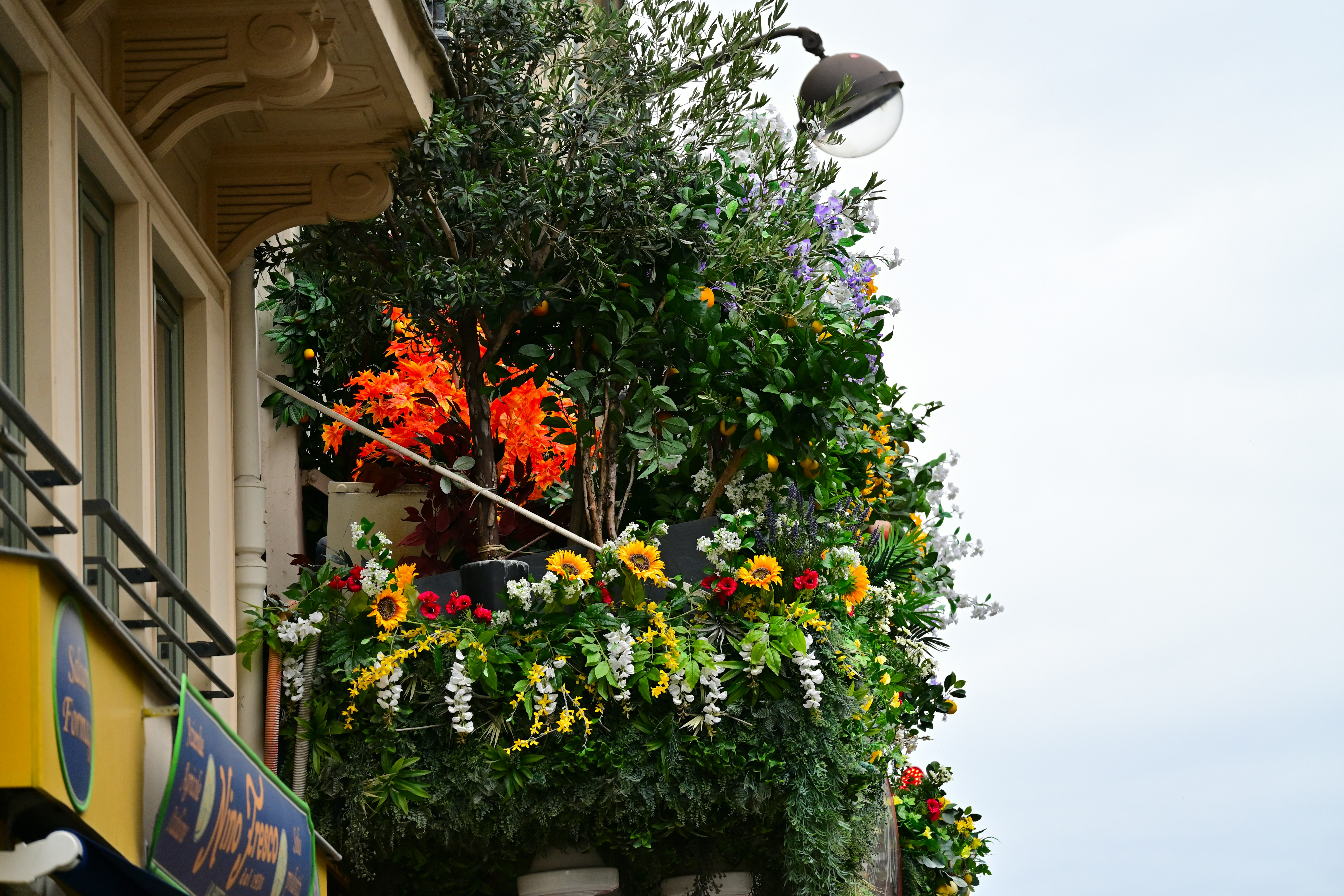 Balcony Garden in Bloom Over a Busy Street