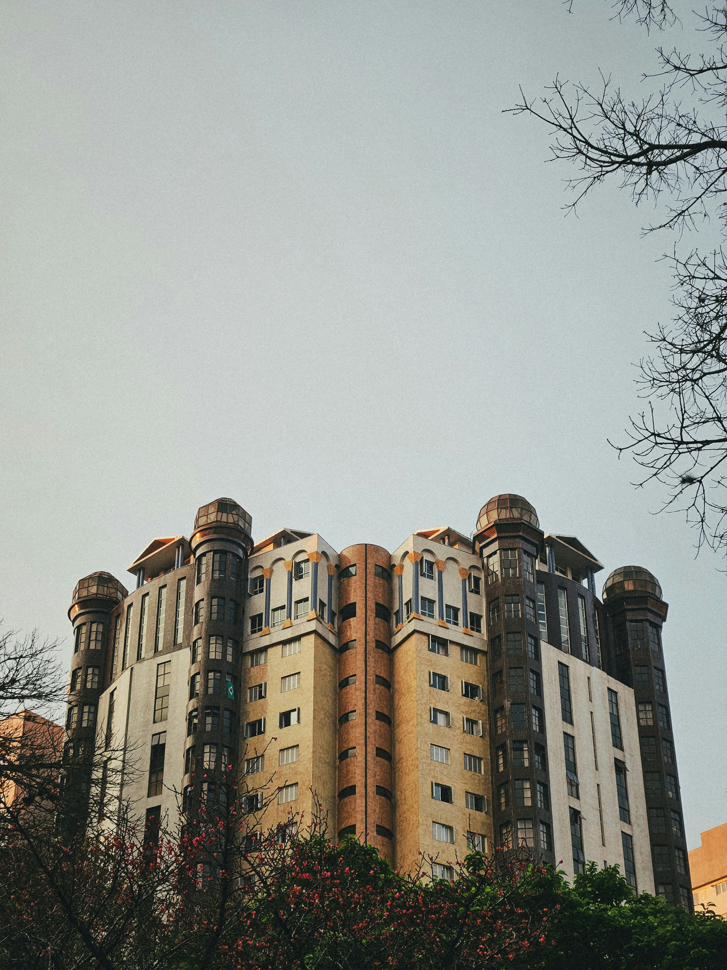 Turreted brick highrise rising above a foreground of bare trees under a pale sky.