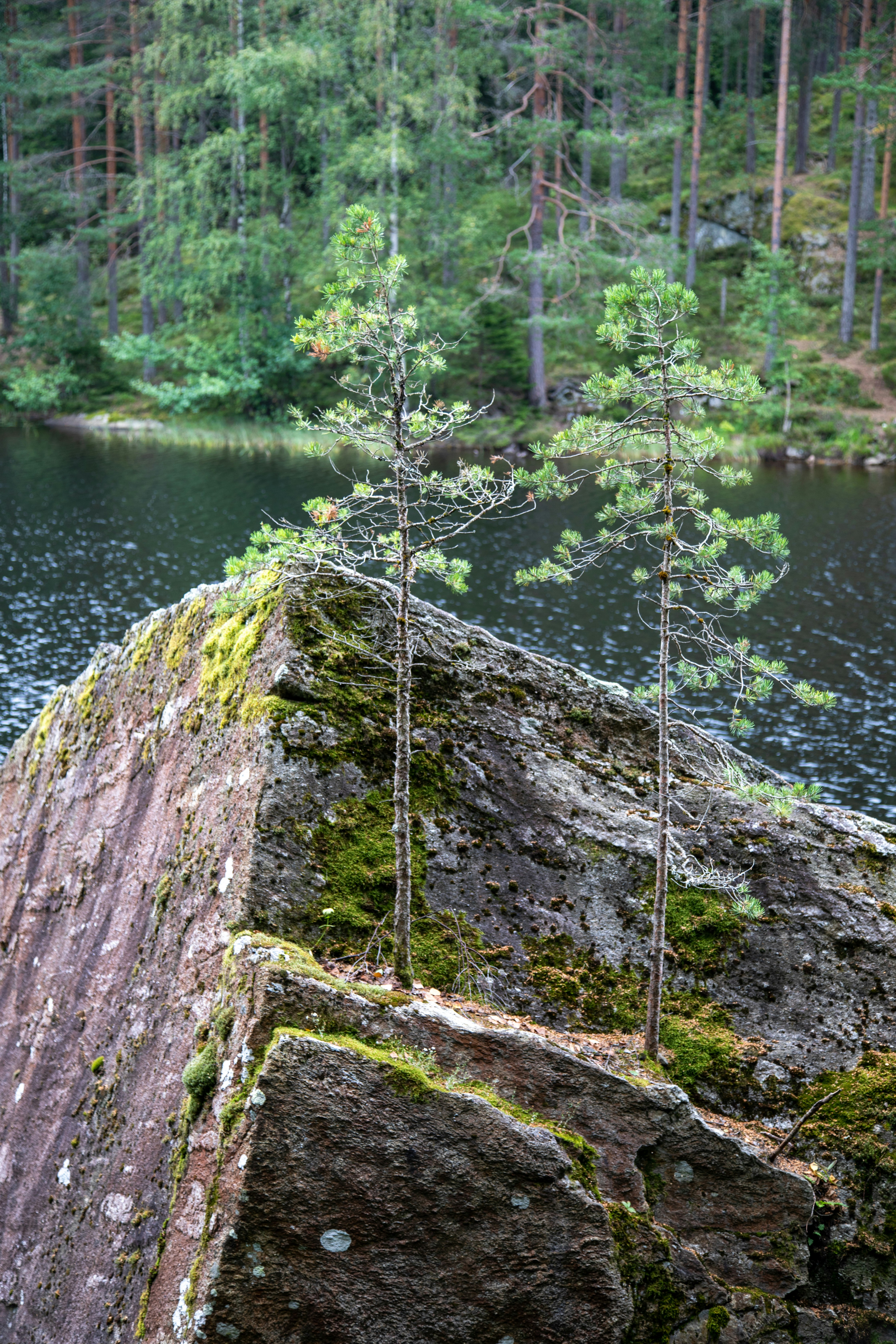 Un homme debout au sommet d’un rocher à côté d’un lac photo – Image ...