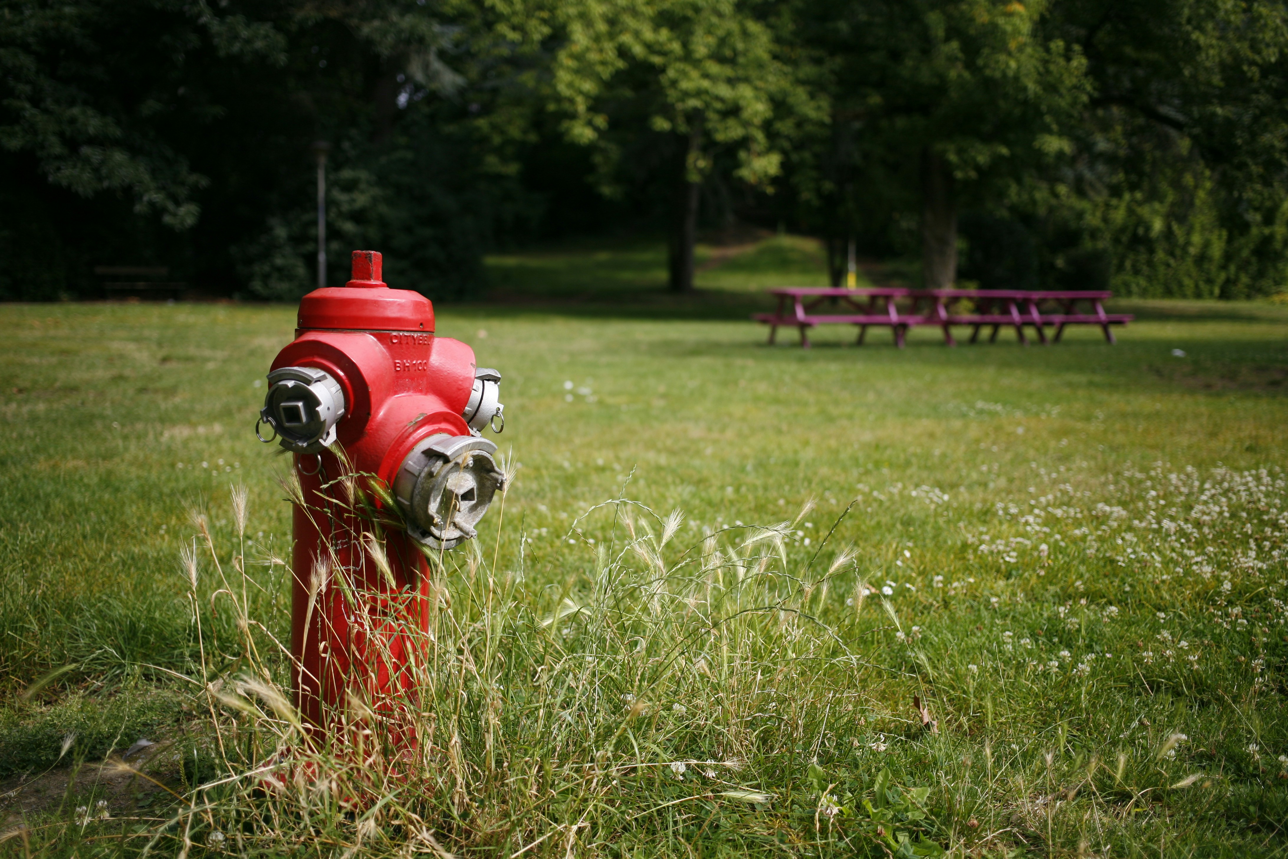 Crimson Sentinel by the Park: Fire Hydrant in a Sunlit Meadow