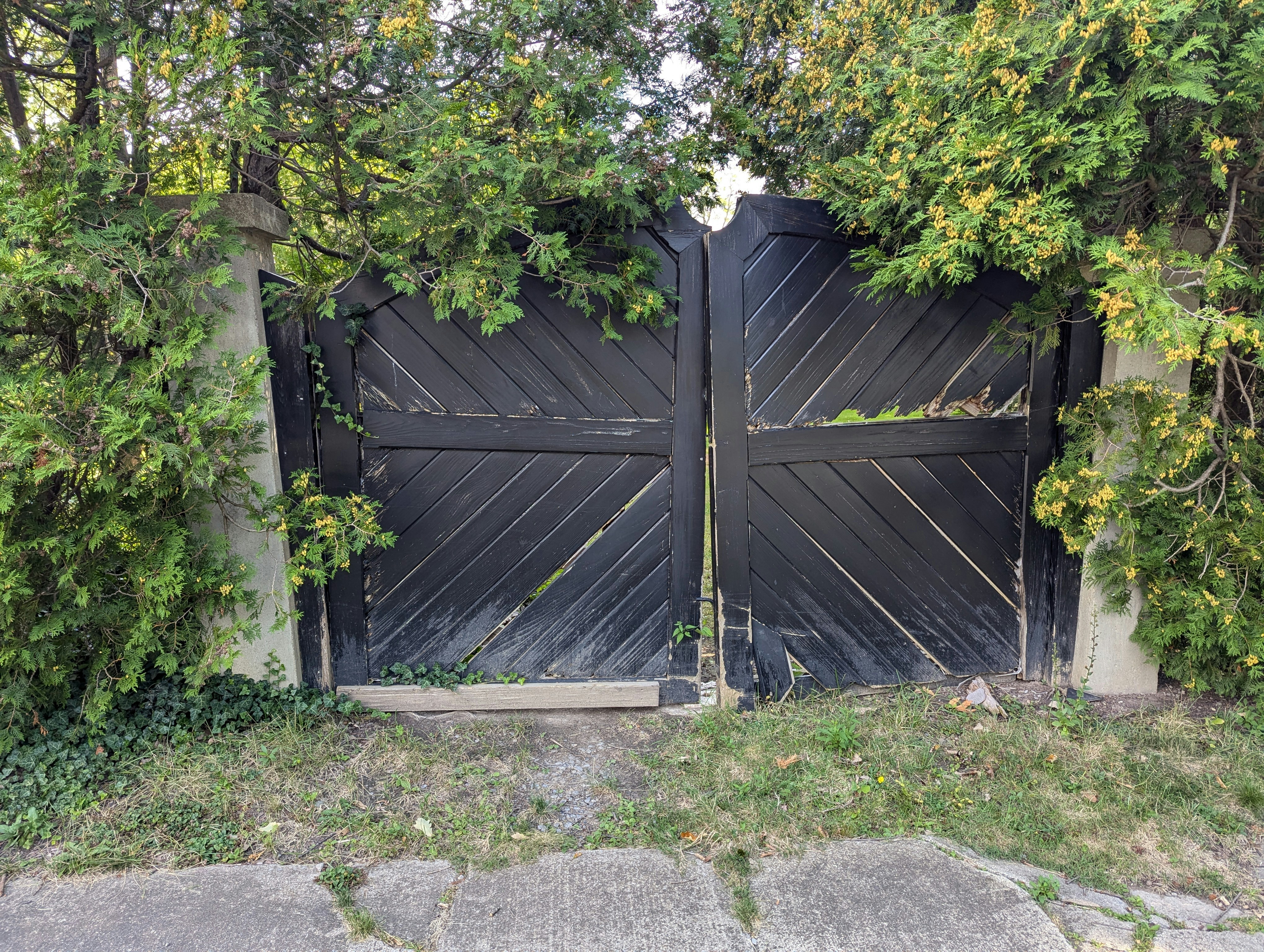 A black gate surrounded by trees and grass photo – Free Buffalo Image ...