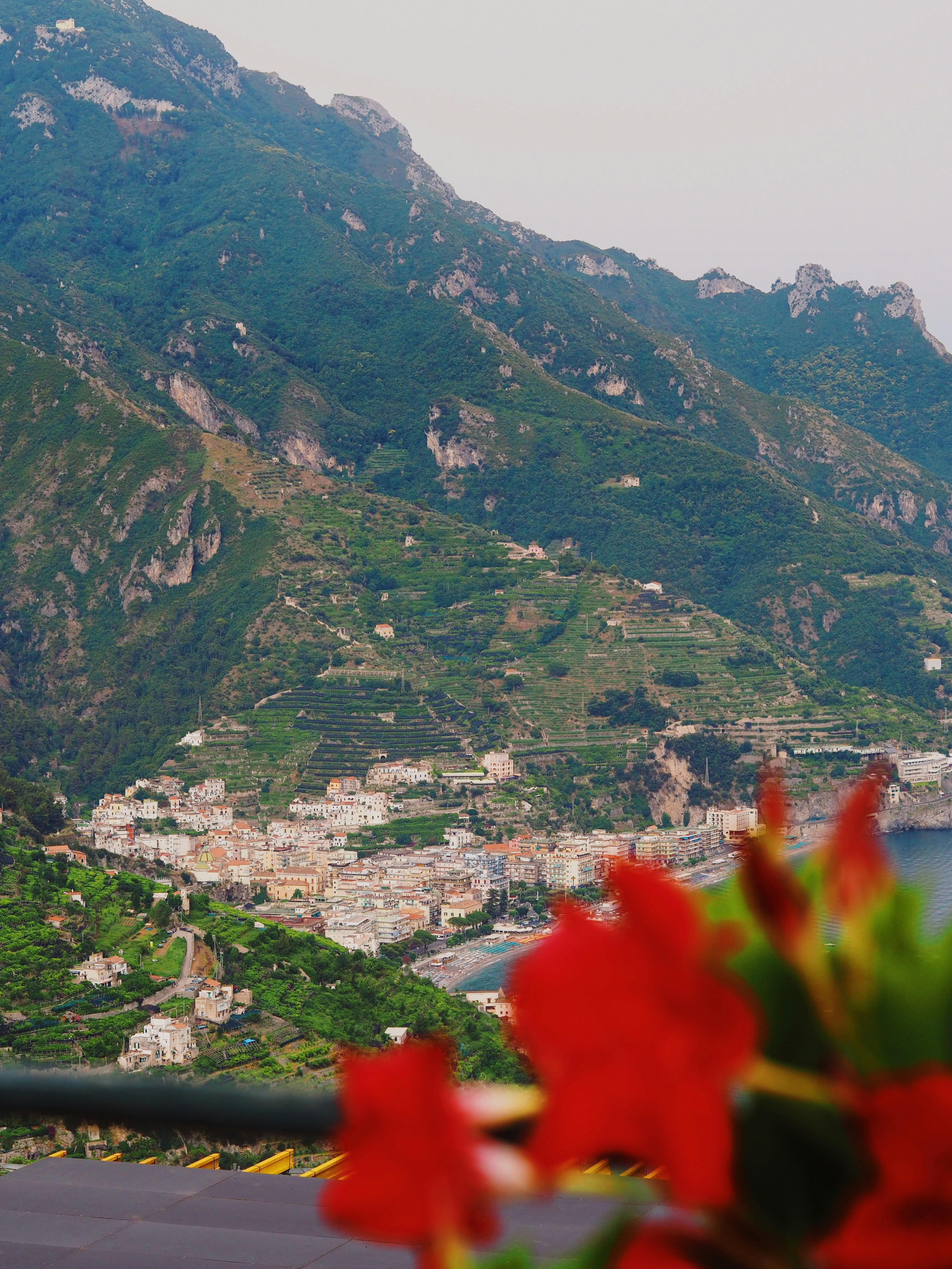 A view of a city with mountains in the background