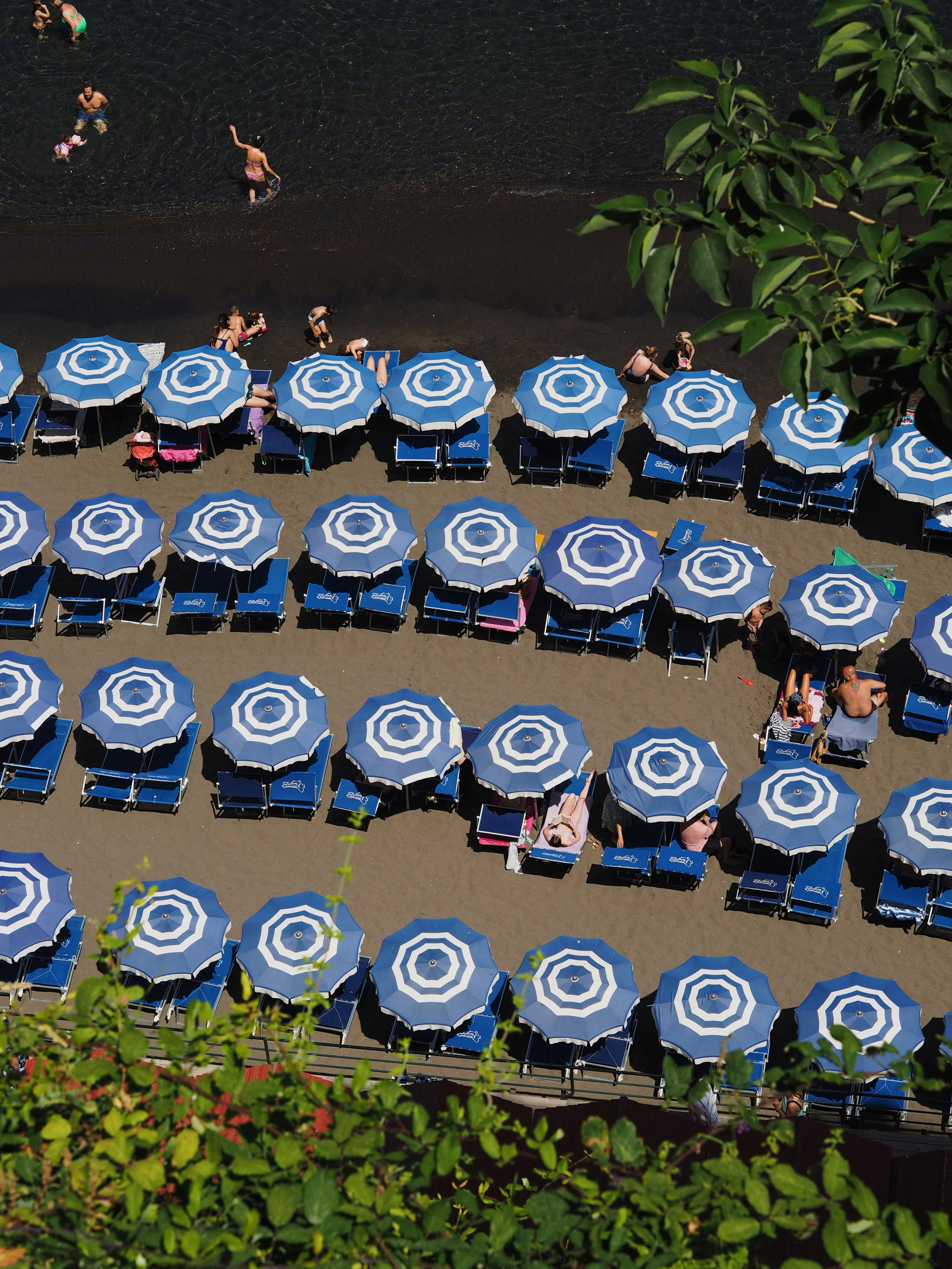 Blue Ringed Grid: An Aerial Portrait of Sunlit Umbrella Rows