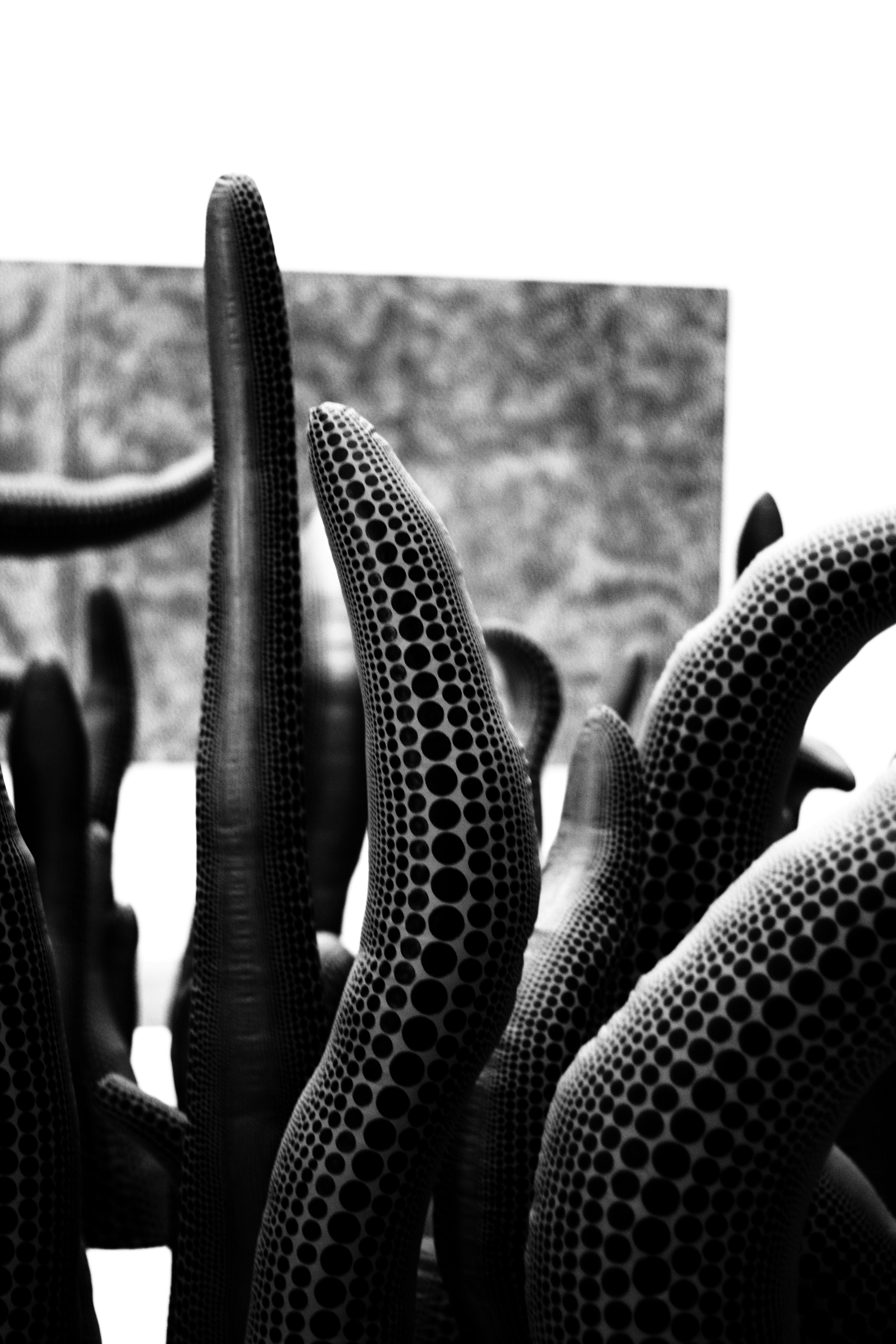 Photo by Diogo Lemos with Canon EOS 1200D