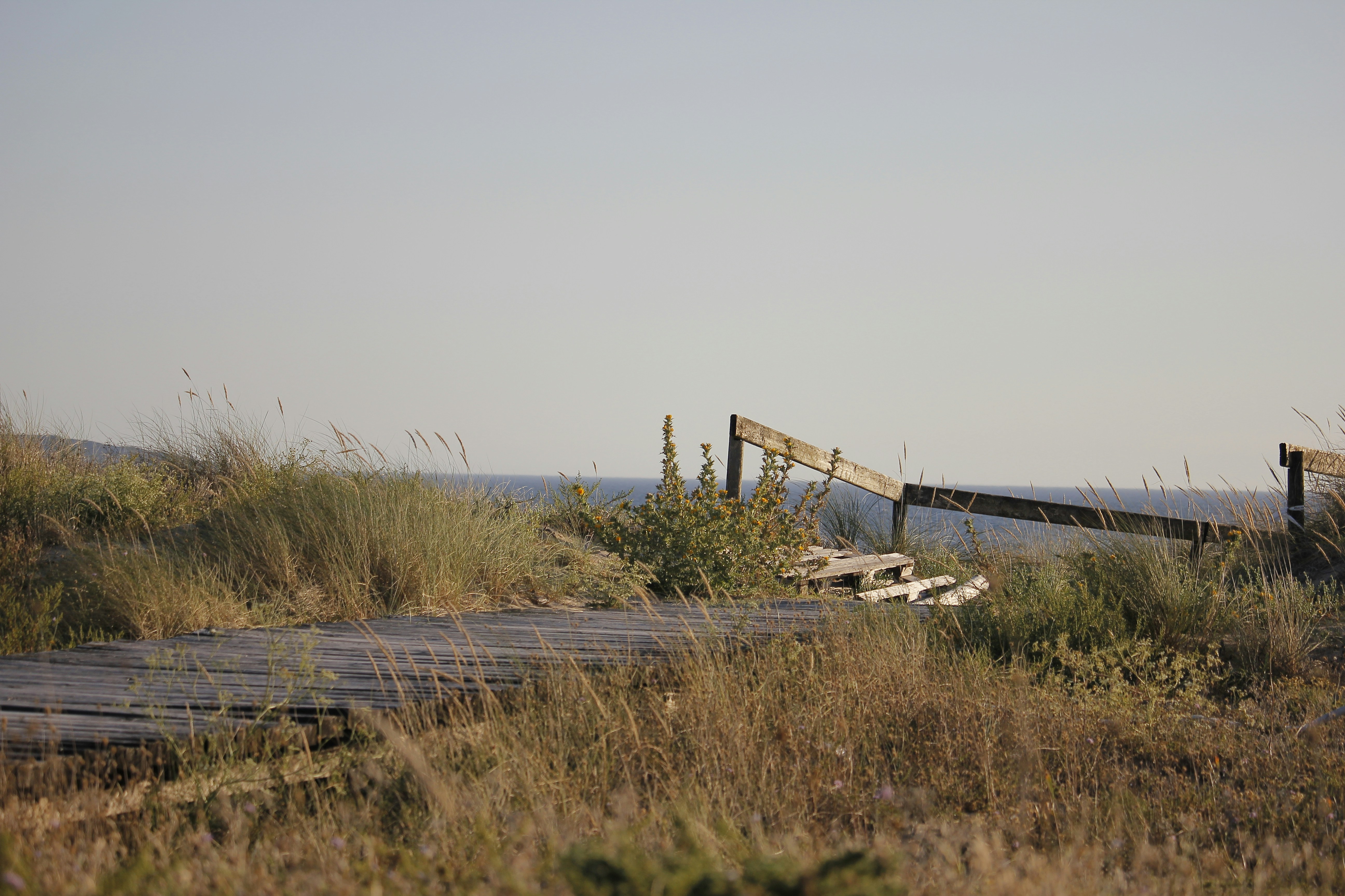 Salt-bleached Boardwalk Fragments at Dune Horizon