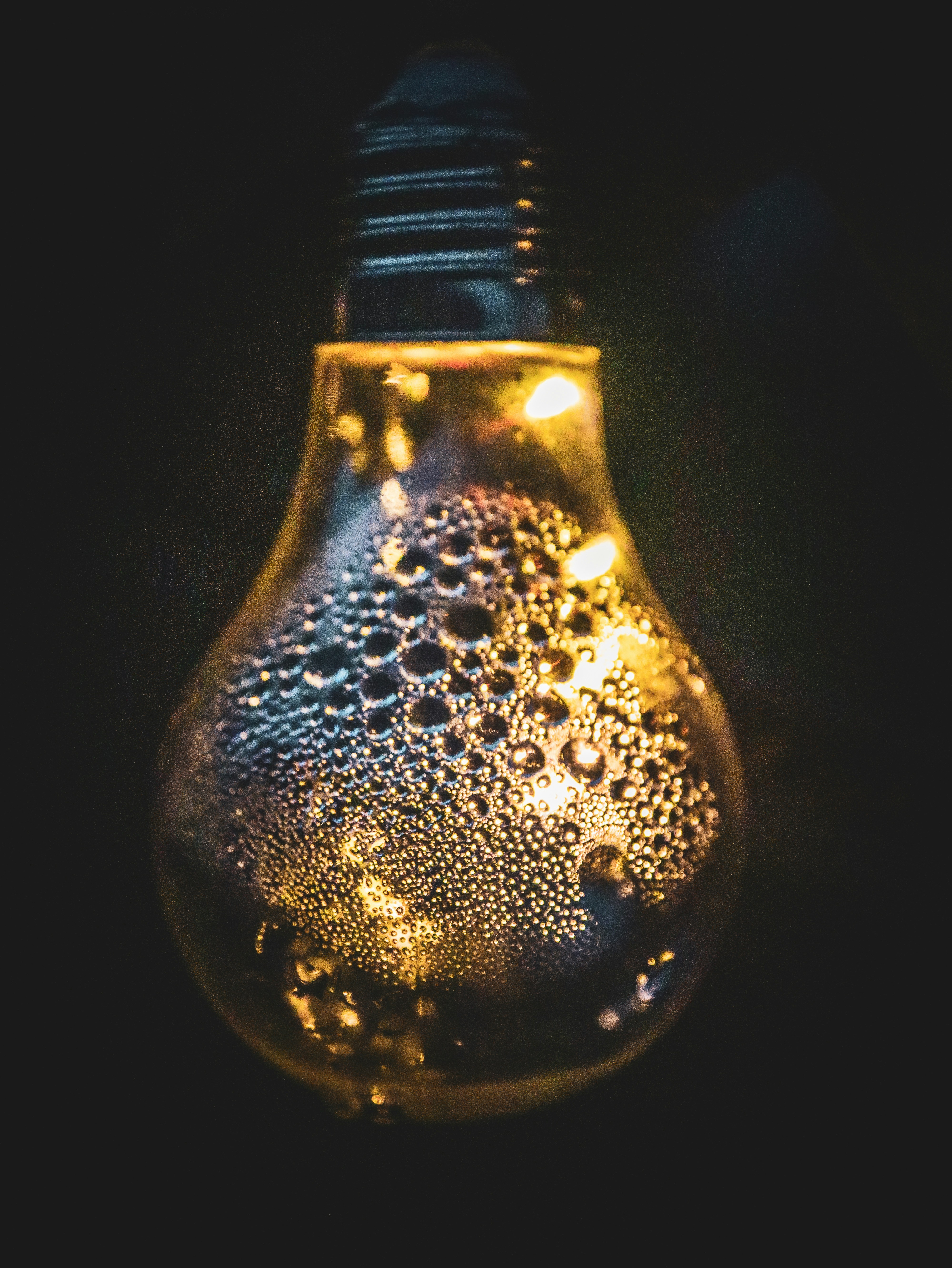 A light bulb with a lot of water inside of it photo – Free Light Image ...