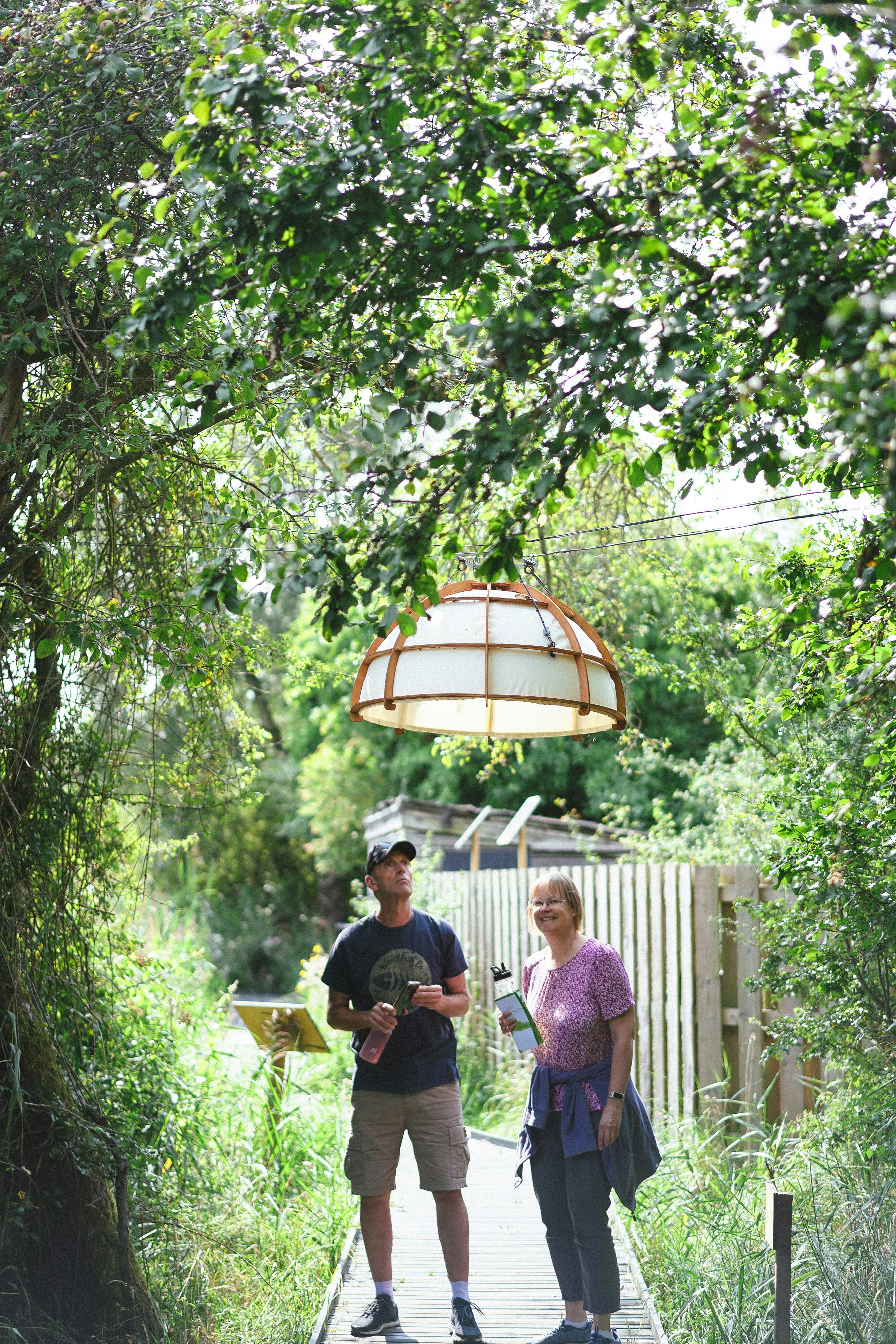 Suspended lanterns and a sunlit path: a candid garden moment