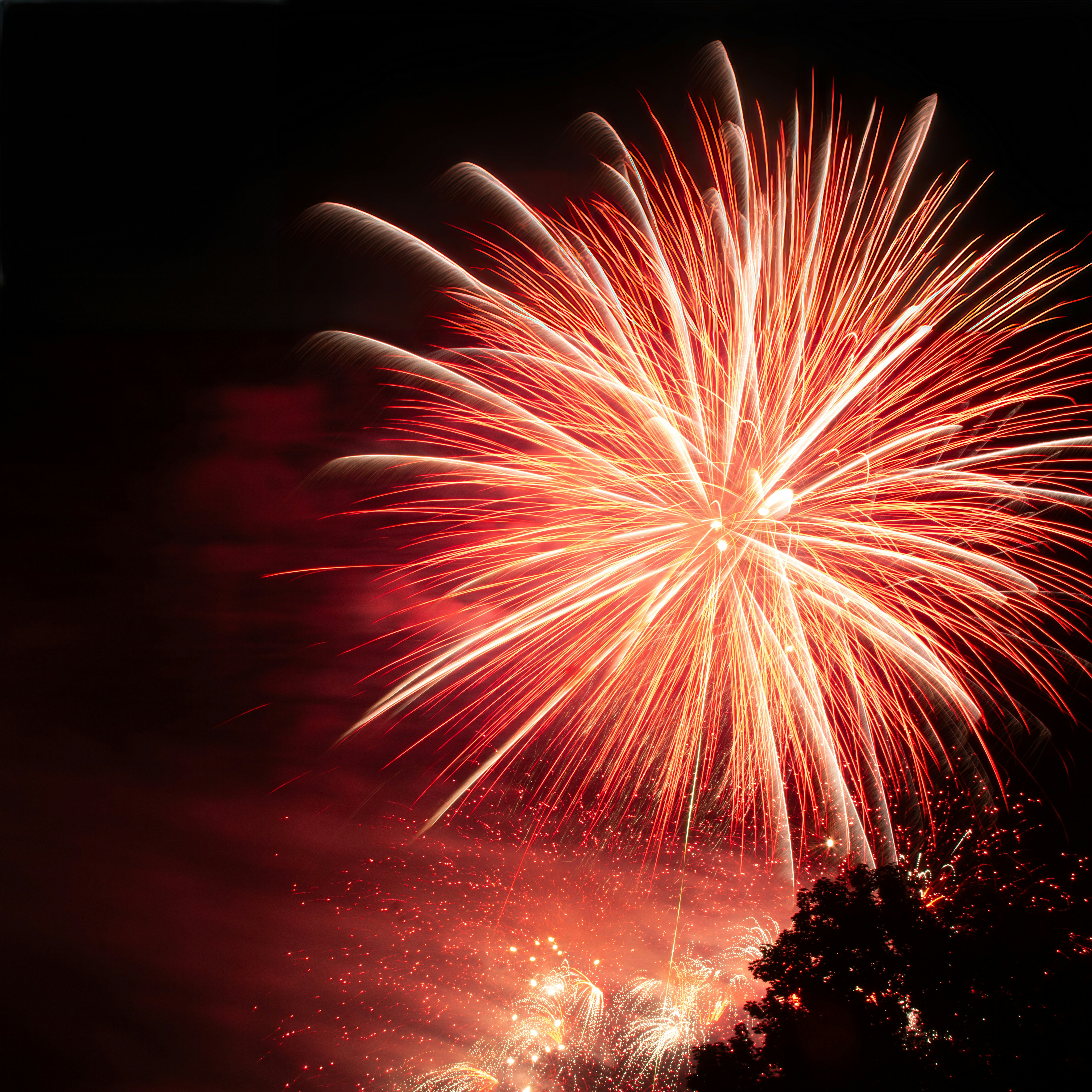 A firework display in the night sky photo – Free Fireworks Image on ...