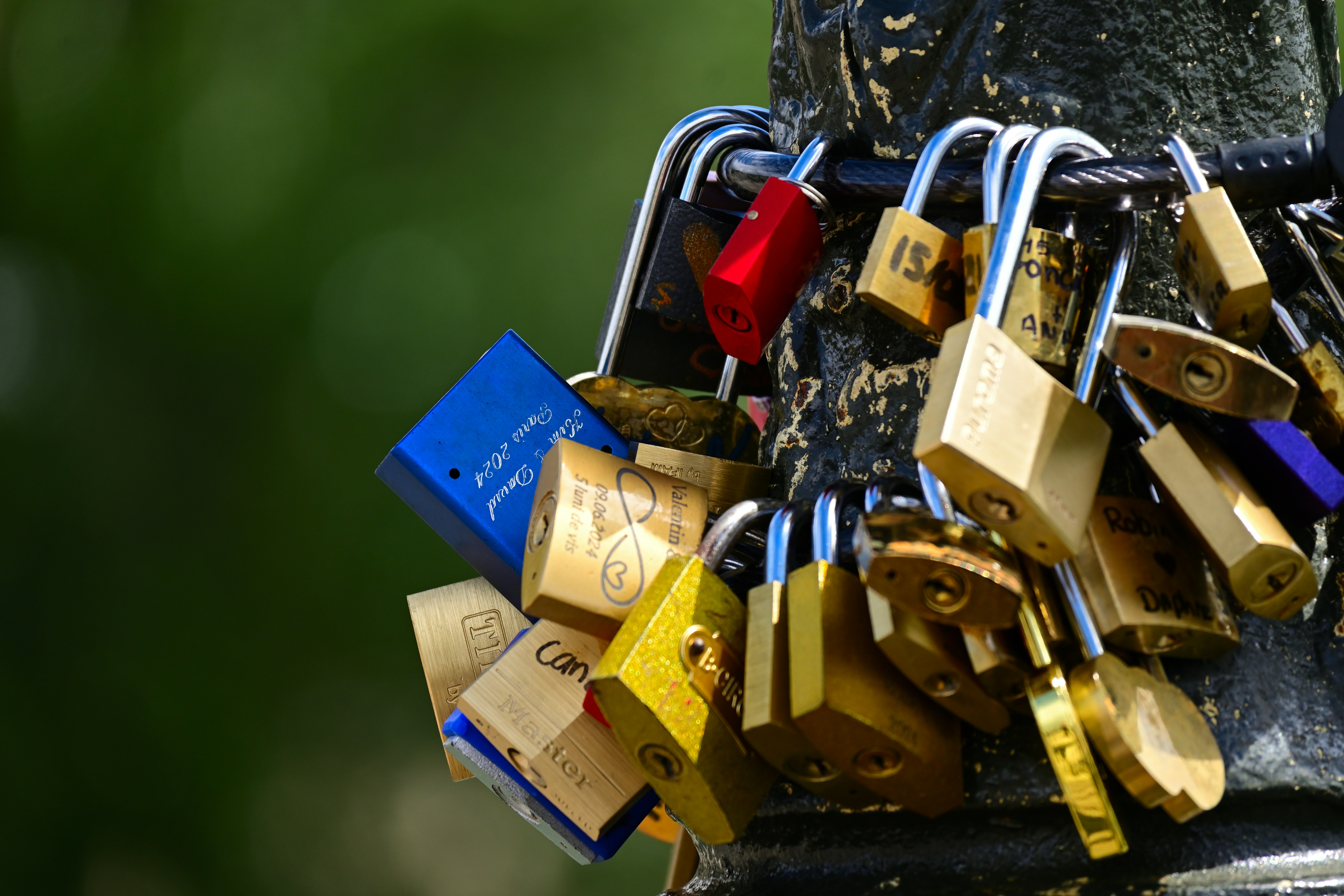 A bunch of padlocks attached to a tree photo – Free Love locks Image on ...