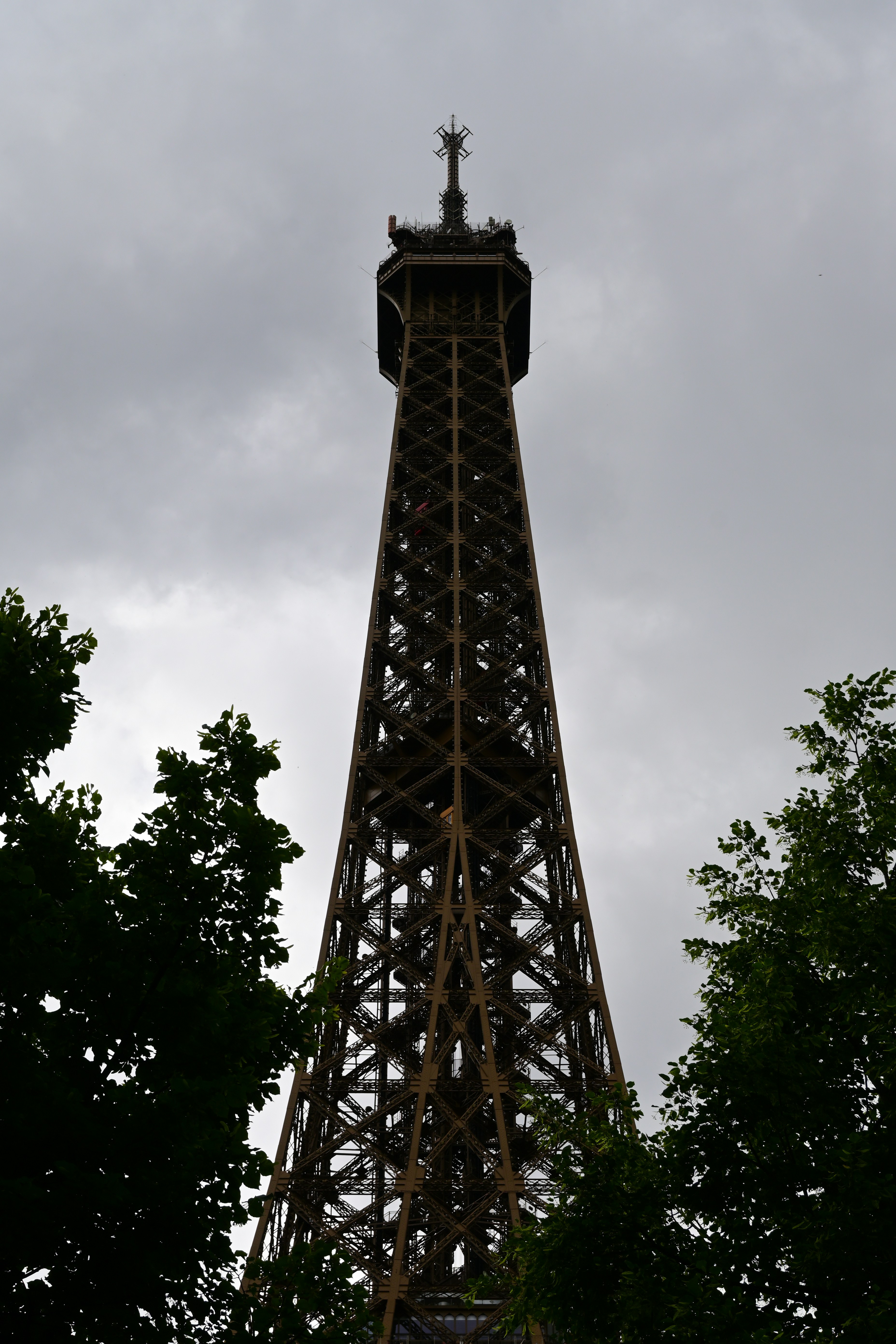 Photo by Amin Zabardast with Nikon Z30